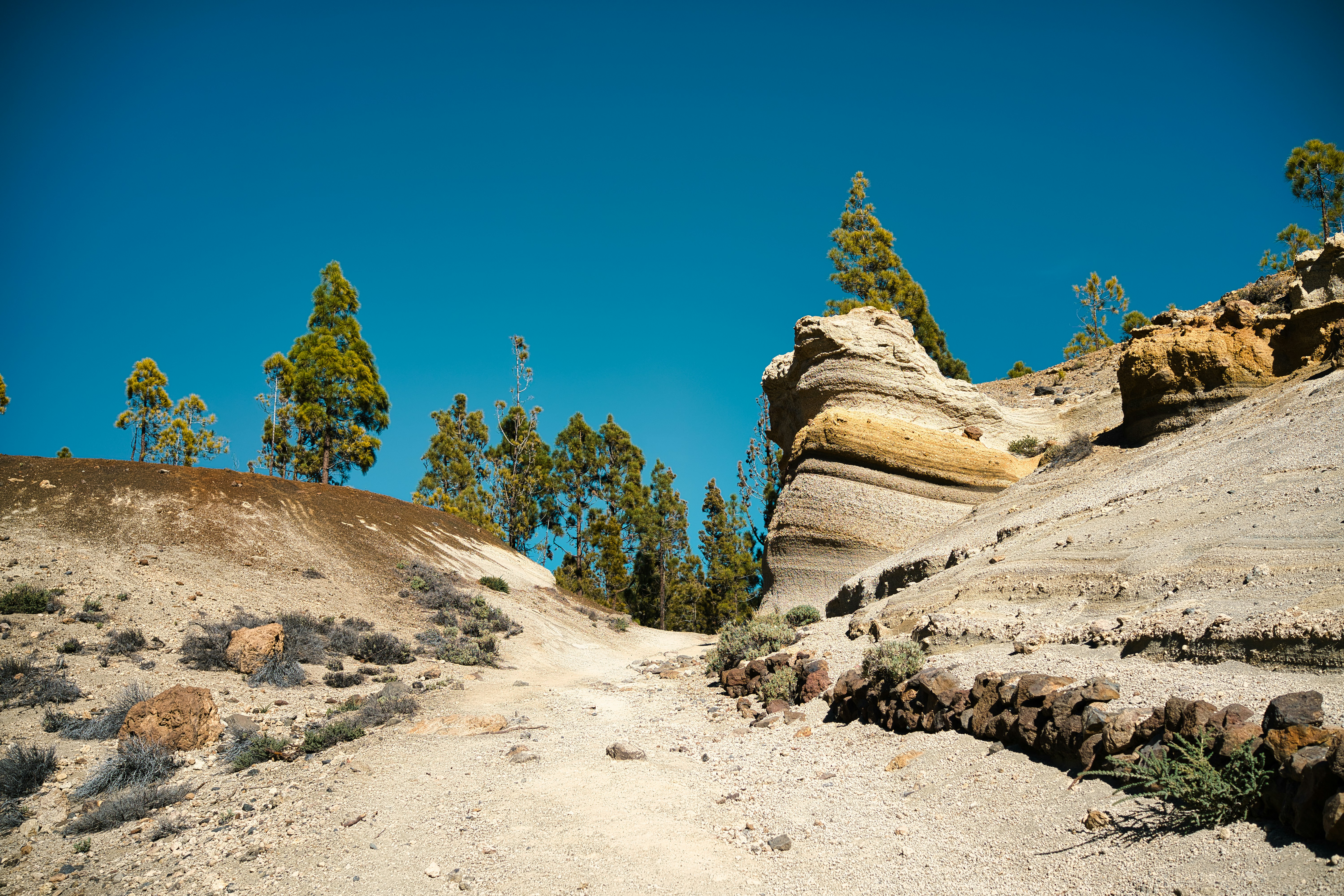 A winding path leads through a unique geological landscape, framed by towering trees and layered rock formations. The clear blue sky enhances the scene's tranquil beauty.
