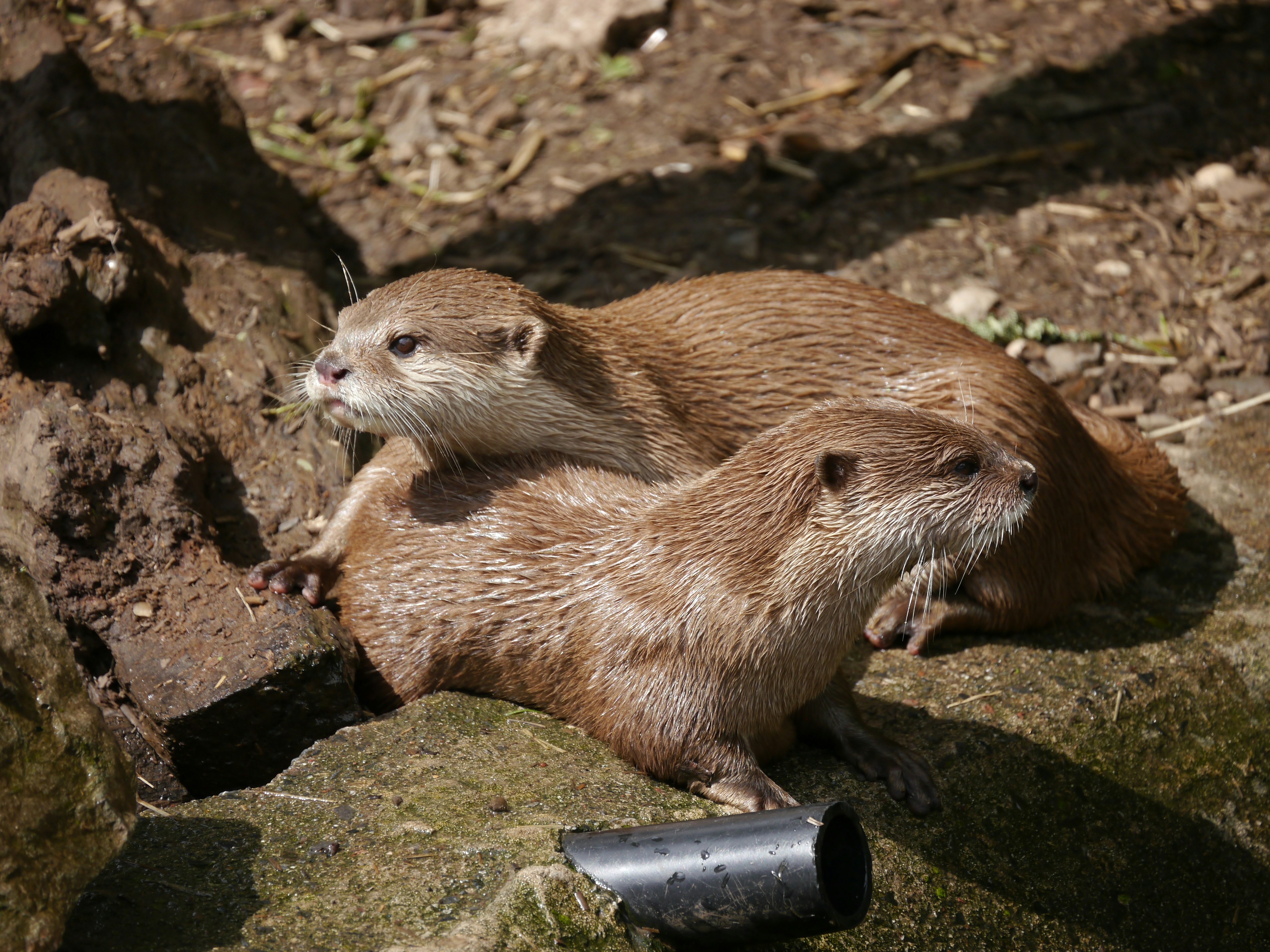 Photo by Jim with Panasonic Lumix G5