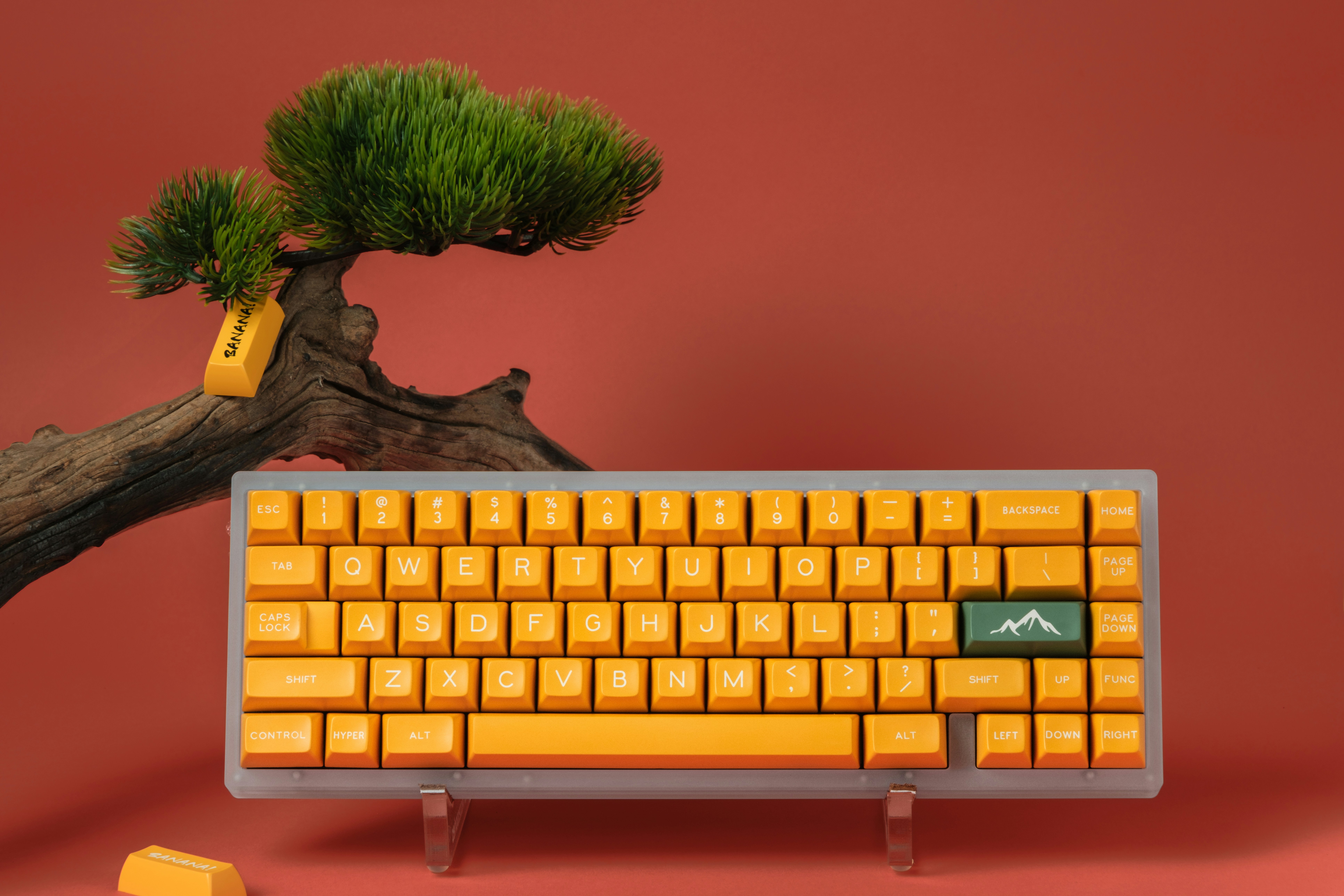 A computer keyboard sitting next to a tree photo – Free Keyboard ...