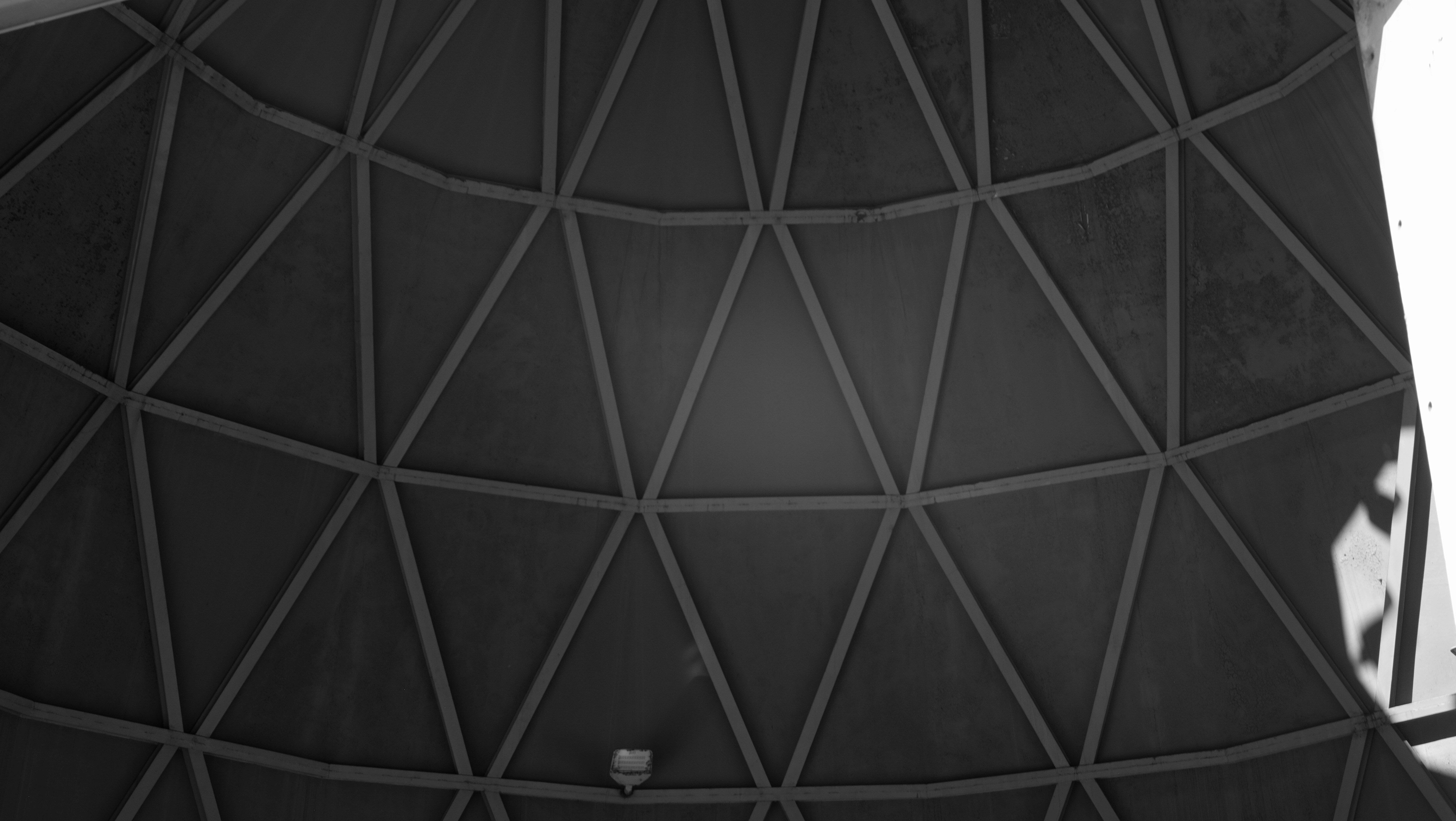 Monochrome Geodesic: Quiet Geometry of a Ribbed Dome
