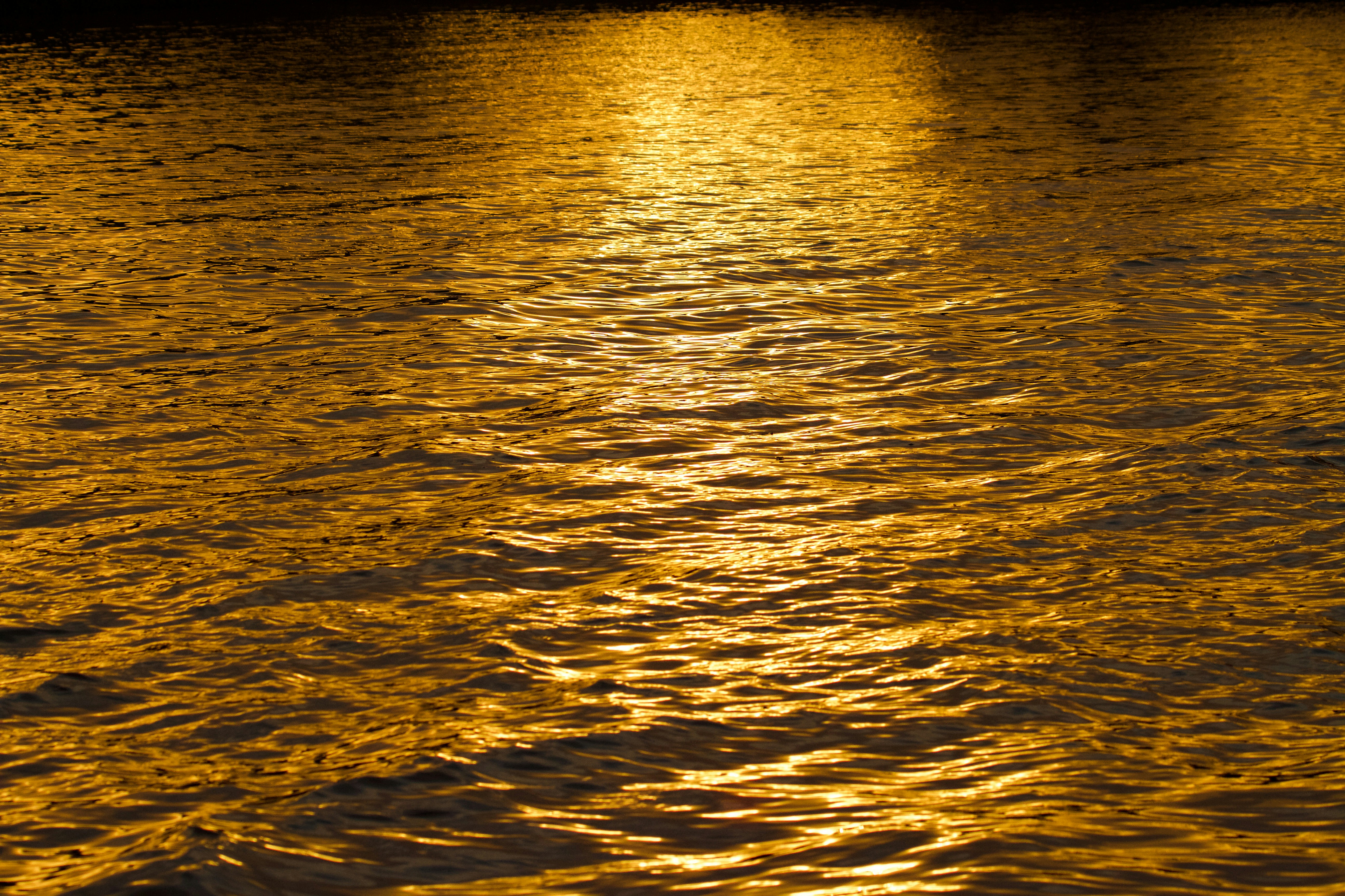 Lake turned golden at sunset
