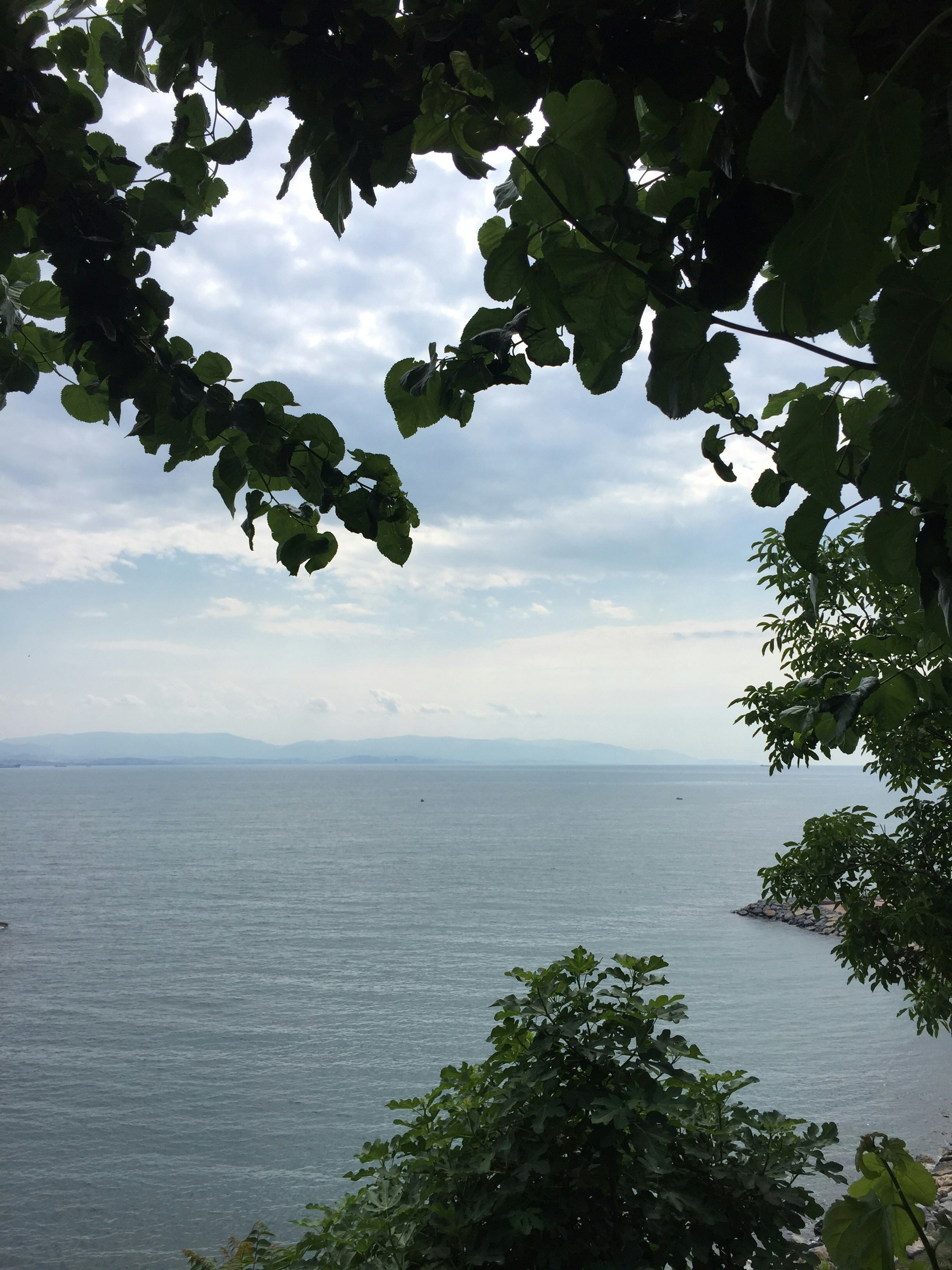 Kocaeli/Turkey - July 22