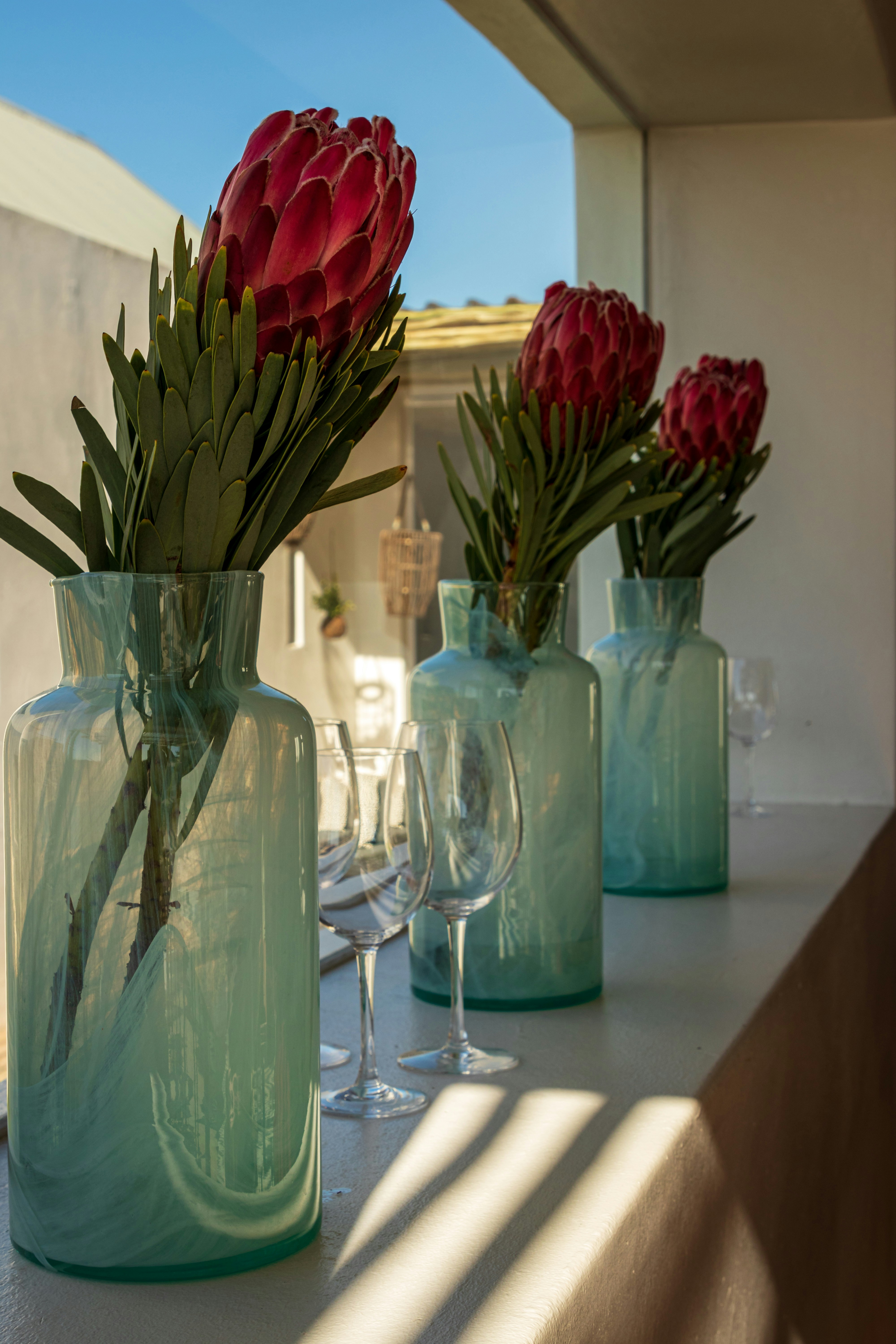Protean Prototypes: Pink Protea in Teal Glass Bottles on a Sunny Table