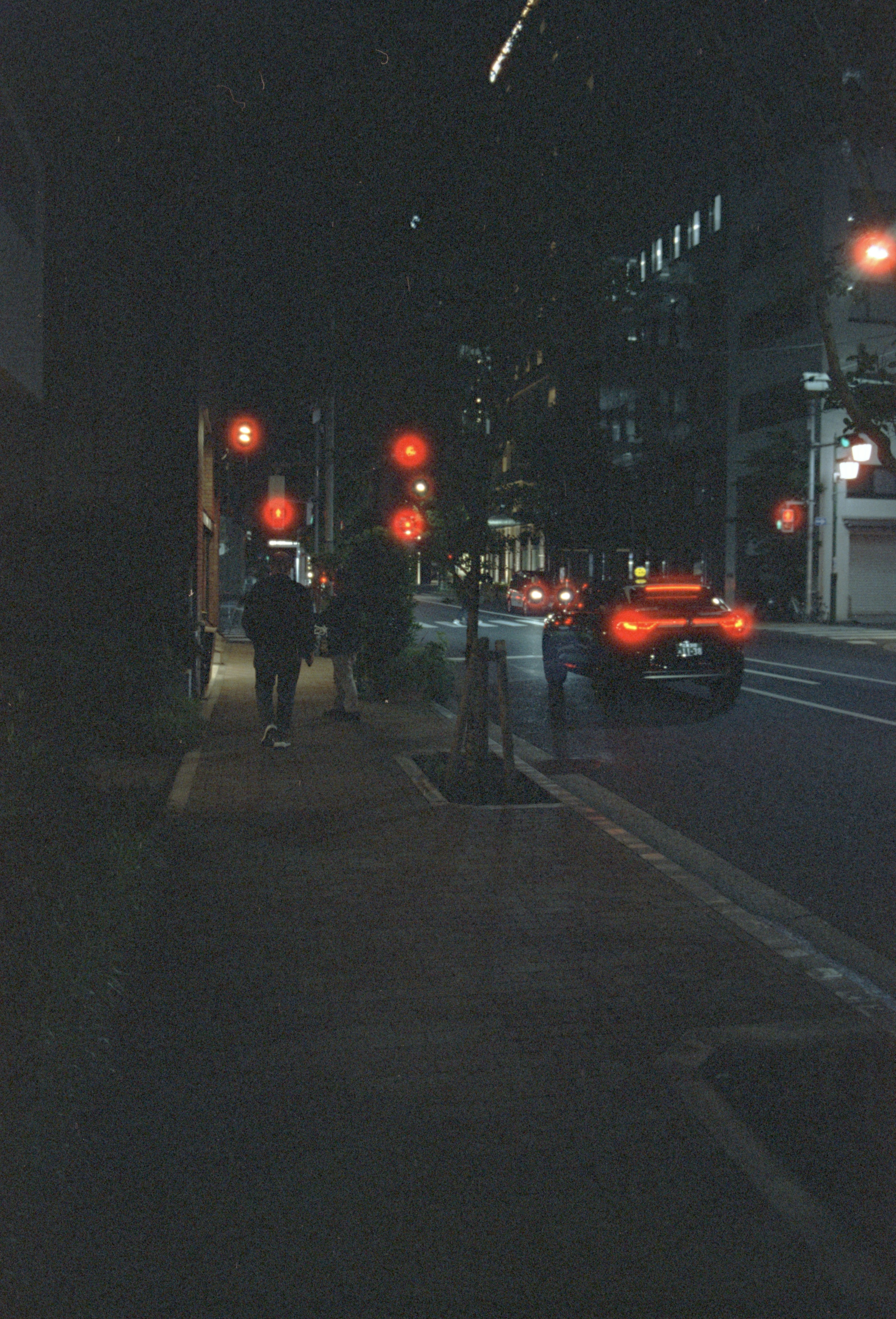 Photo by kilo 🐍 with Plustek OpticFilm 8300i