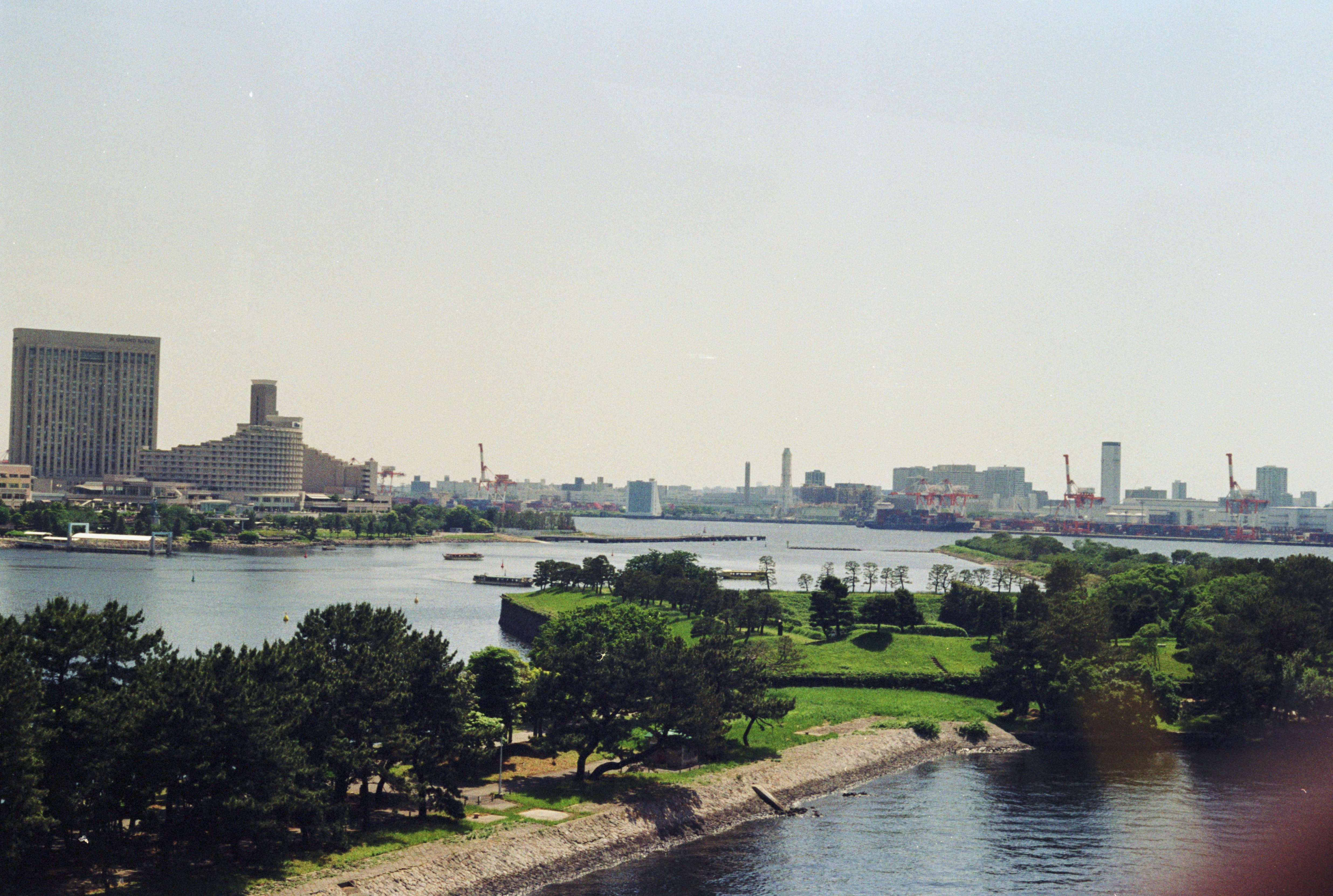 A panoramic view showcasing the harmonious blend of greenery along the riverbank and the bustling city skyline in the background.
