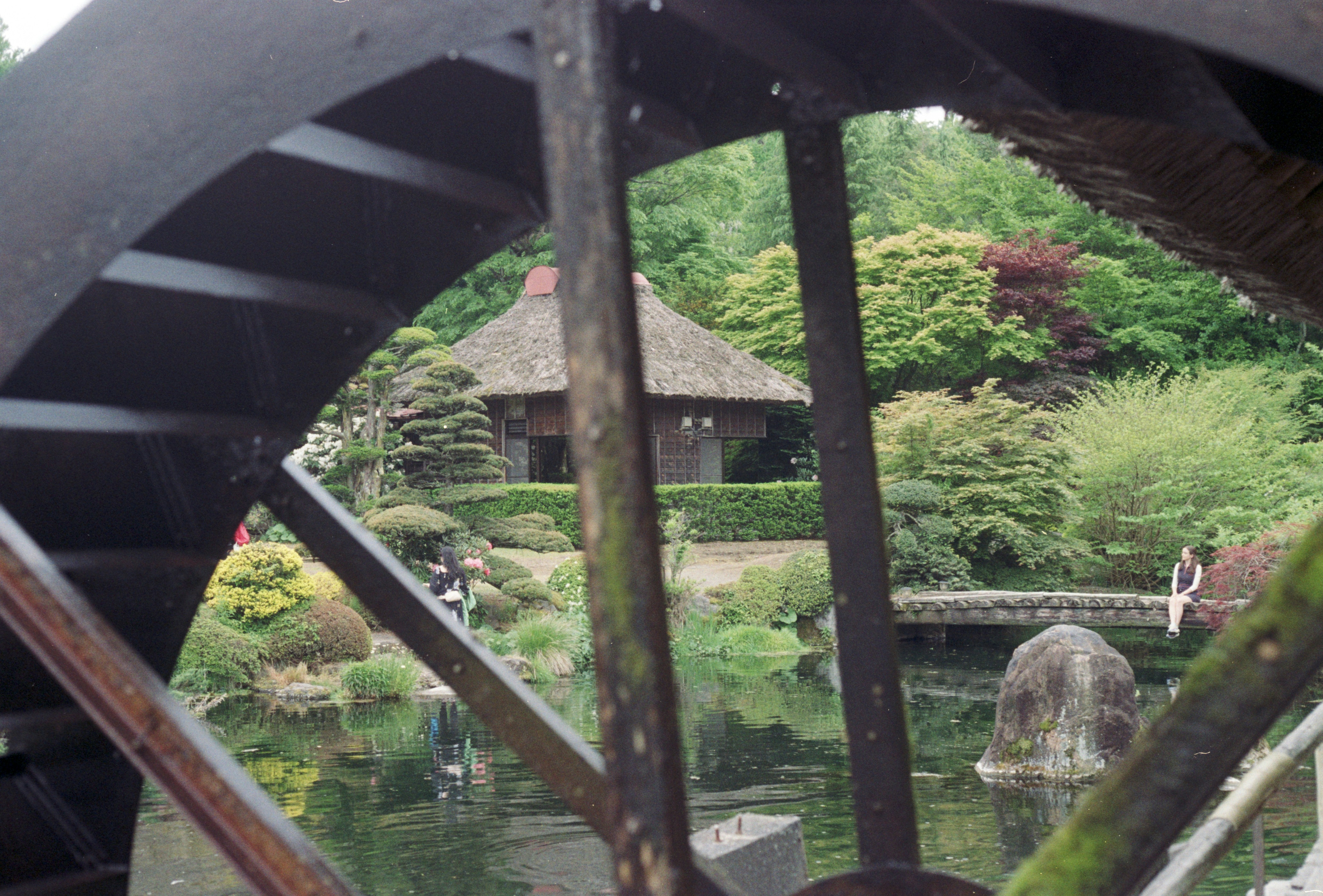 Iron Spokes, Tranquil Garden: A Ponded Oasis Framed by a Water Wheel