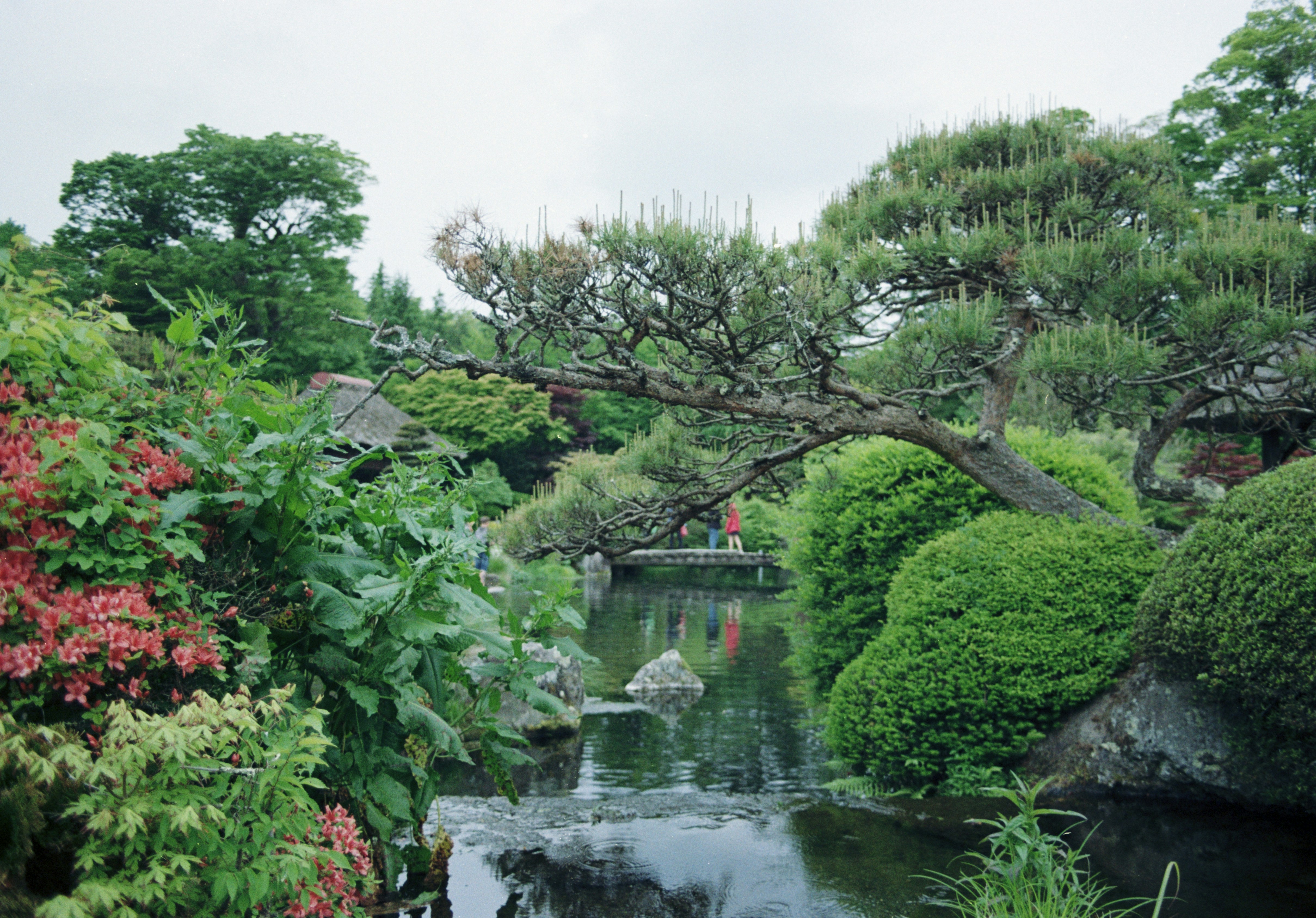 Photo by kilo 🐍 with Plustek OpticFilm 8300i