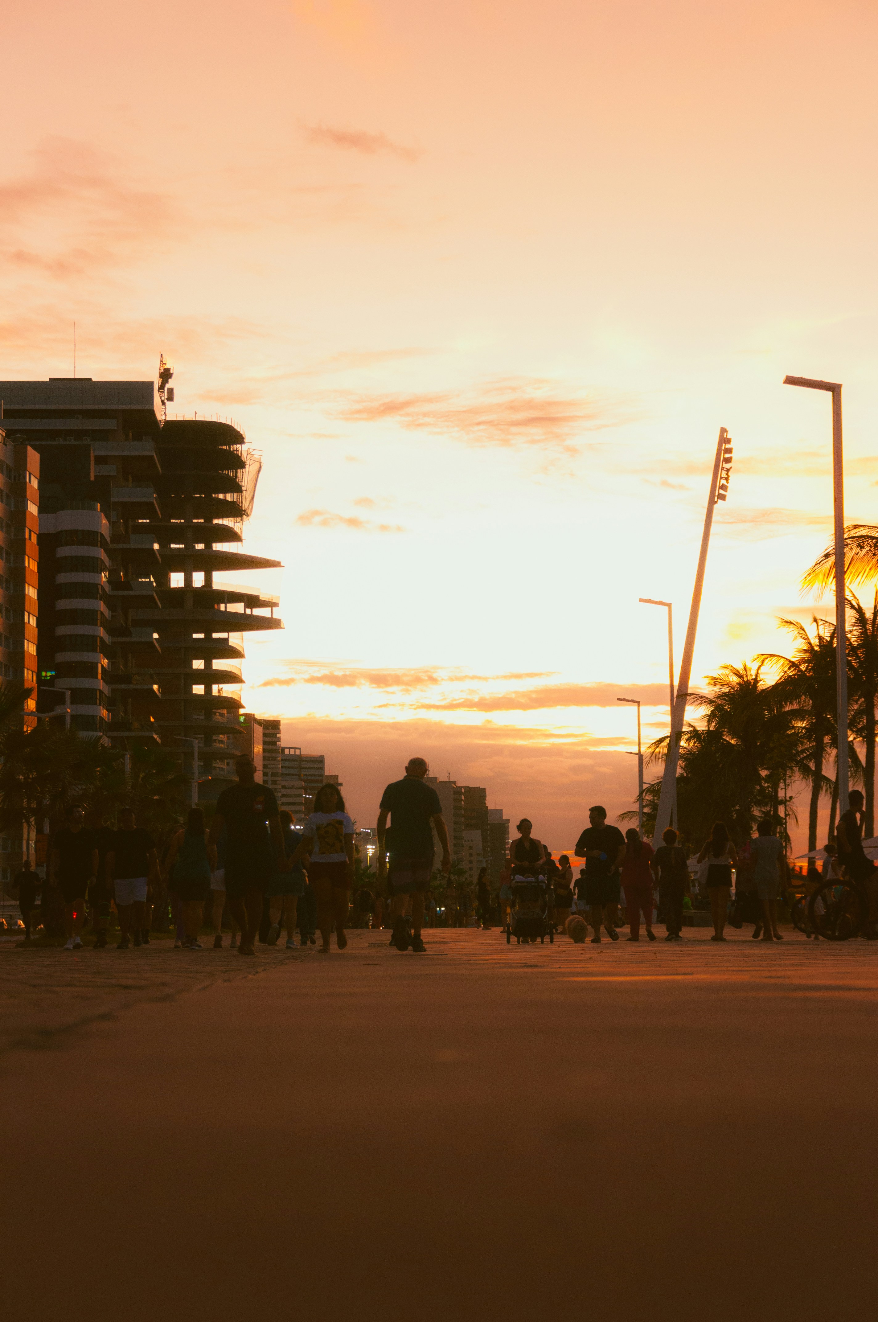 Sunset Silhouettes on a Palm-Fringed Boardwalk