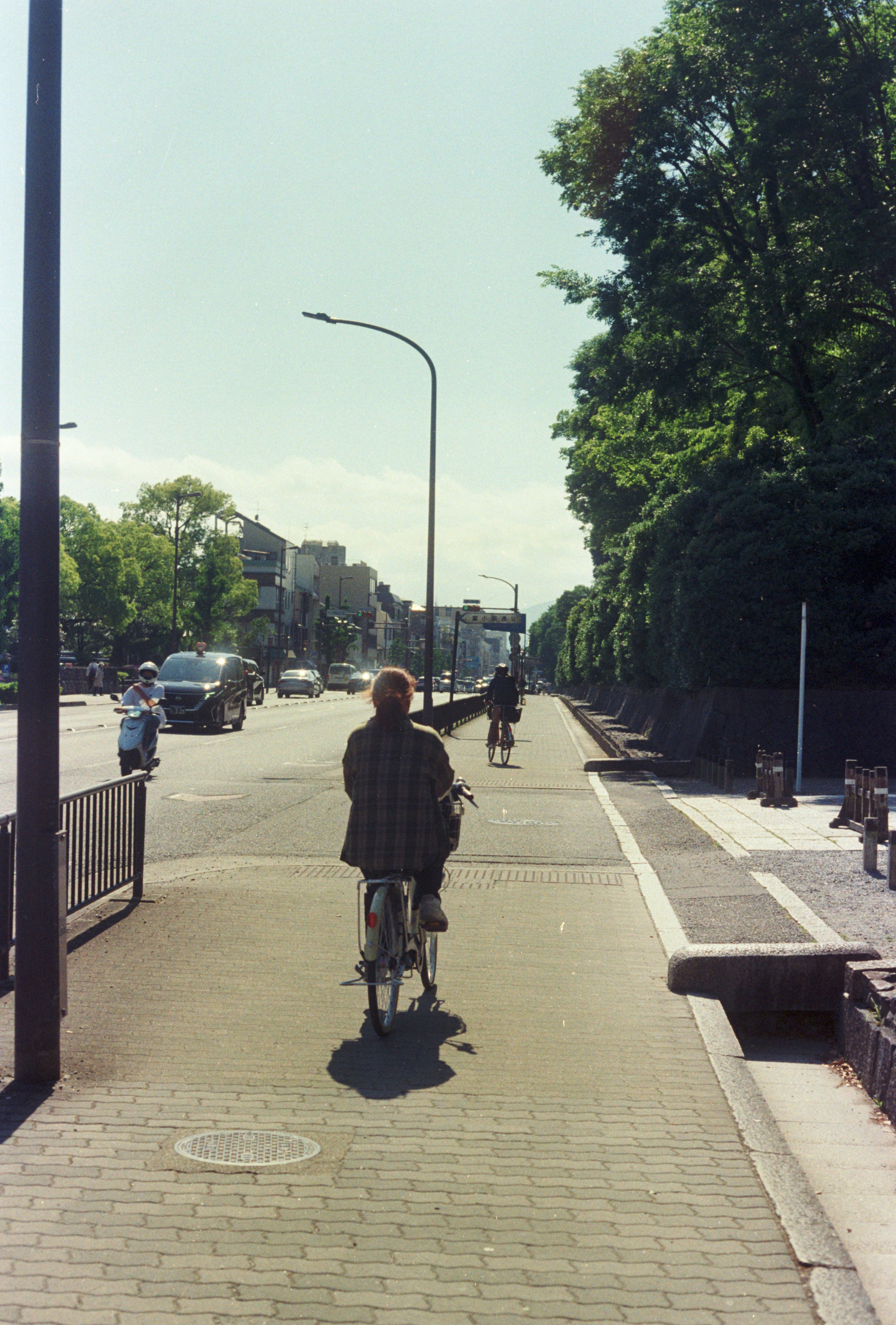 Back-View Rider on a Sunlit Urban Promenade