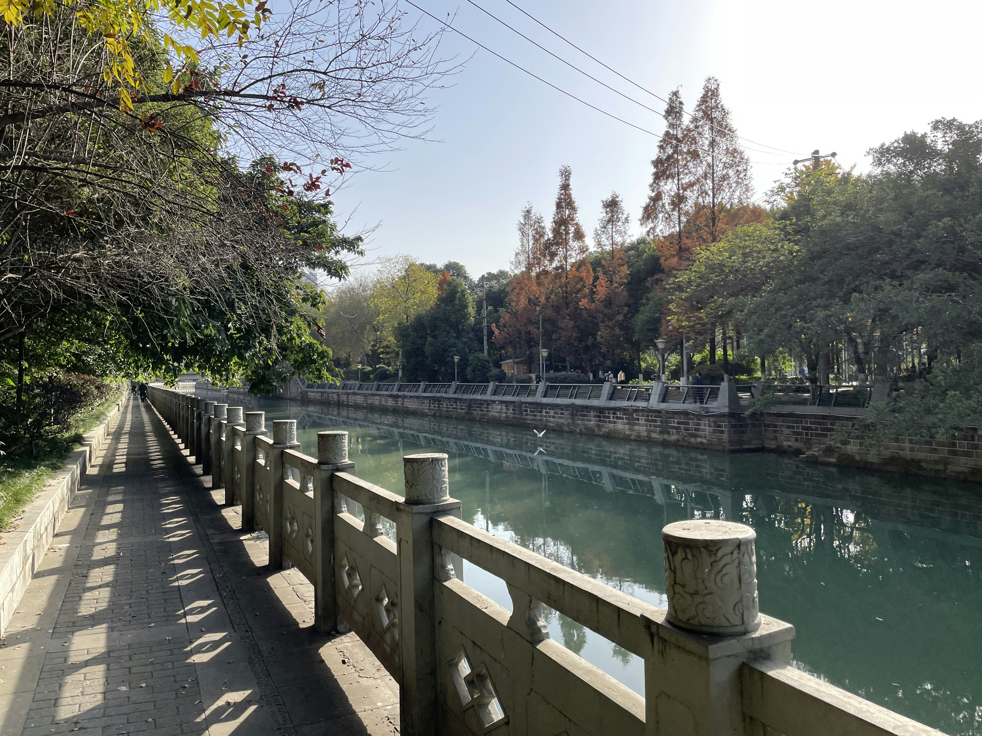 Riverside Promenade: Sunlit Railings and Quiet Water