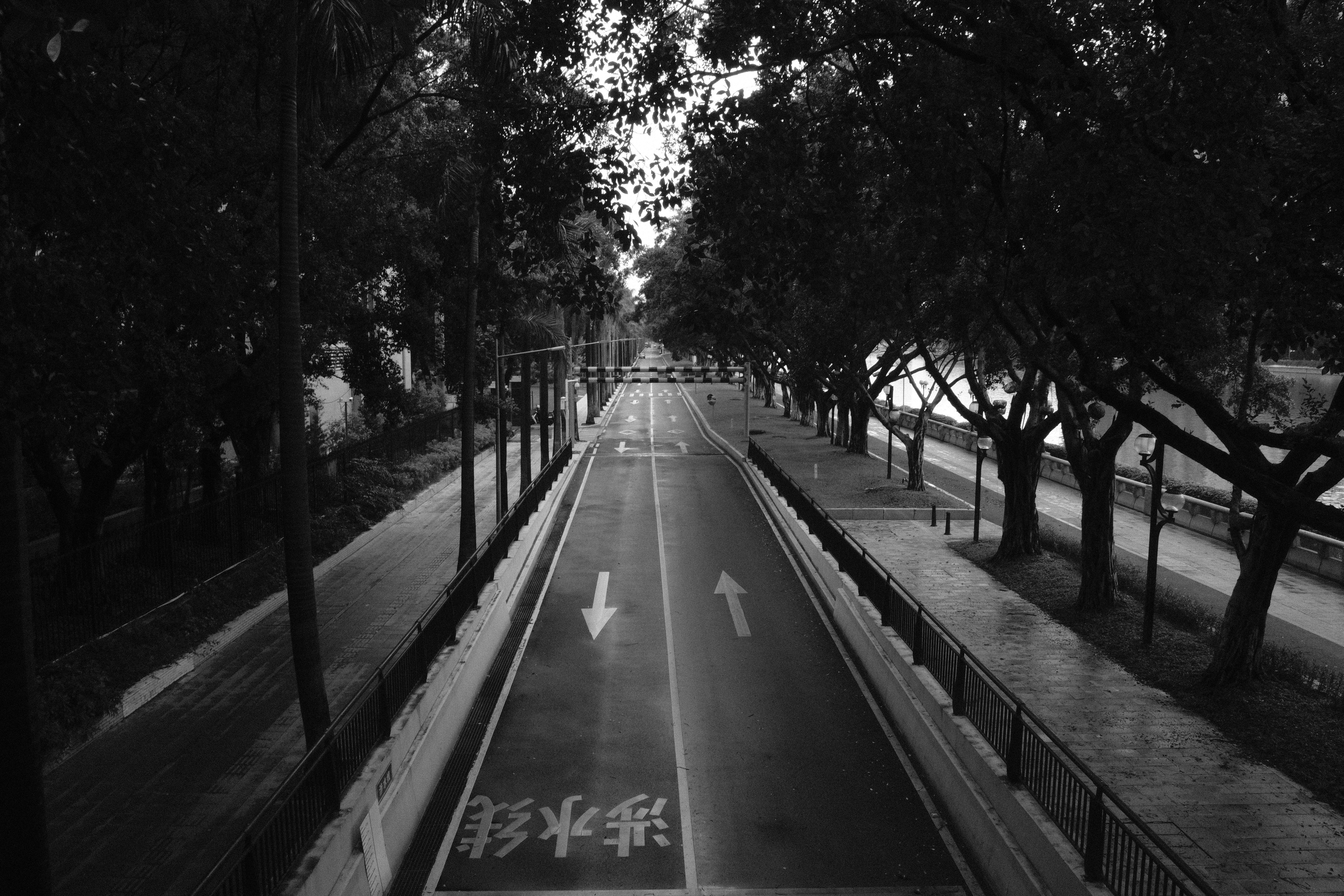 Monochrome Lane: Lines Converge Toward a Narrow Horizon