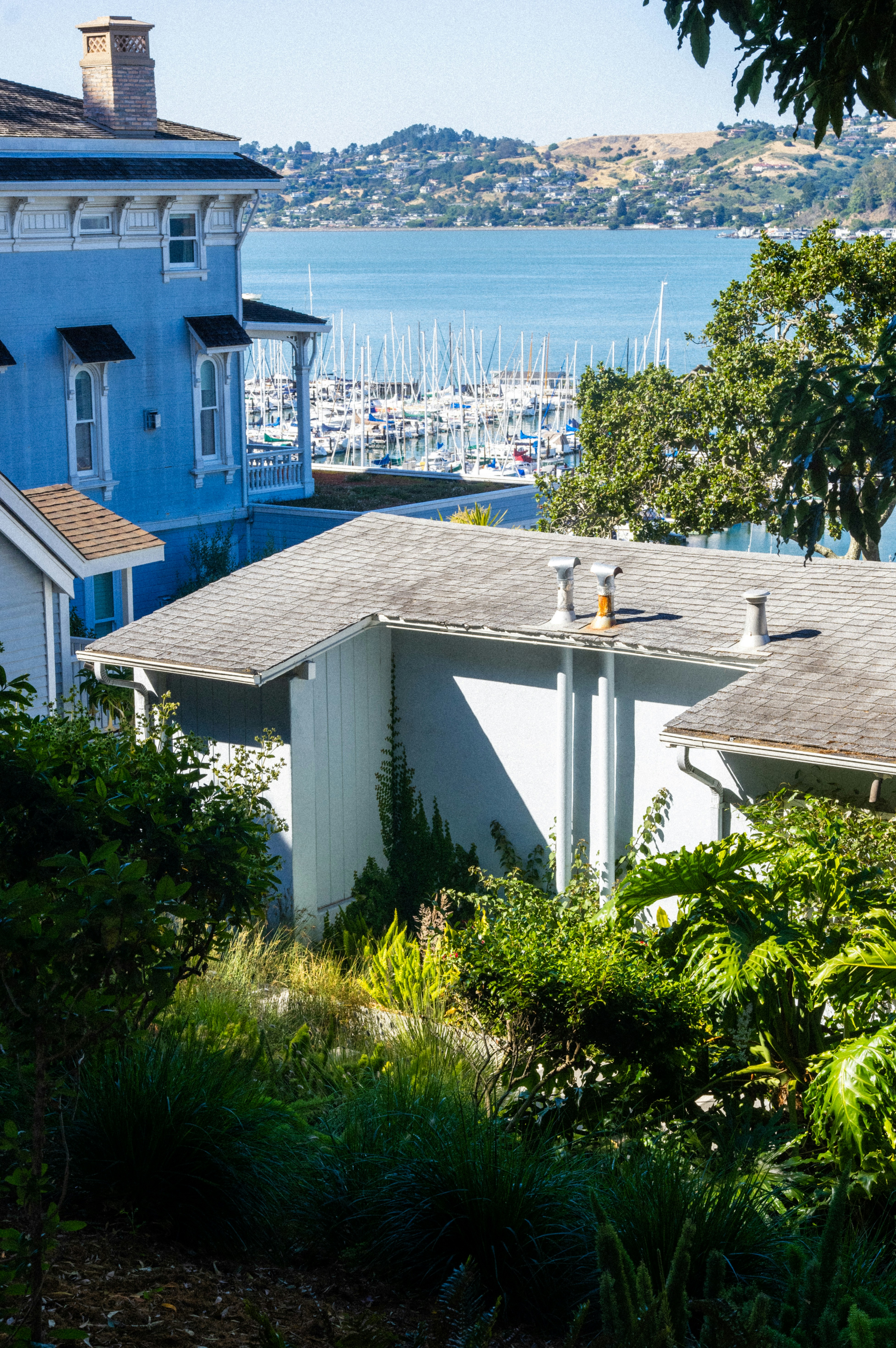 Blue House on the Waterfront: A Quiet Marina Vista