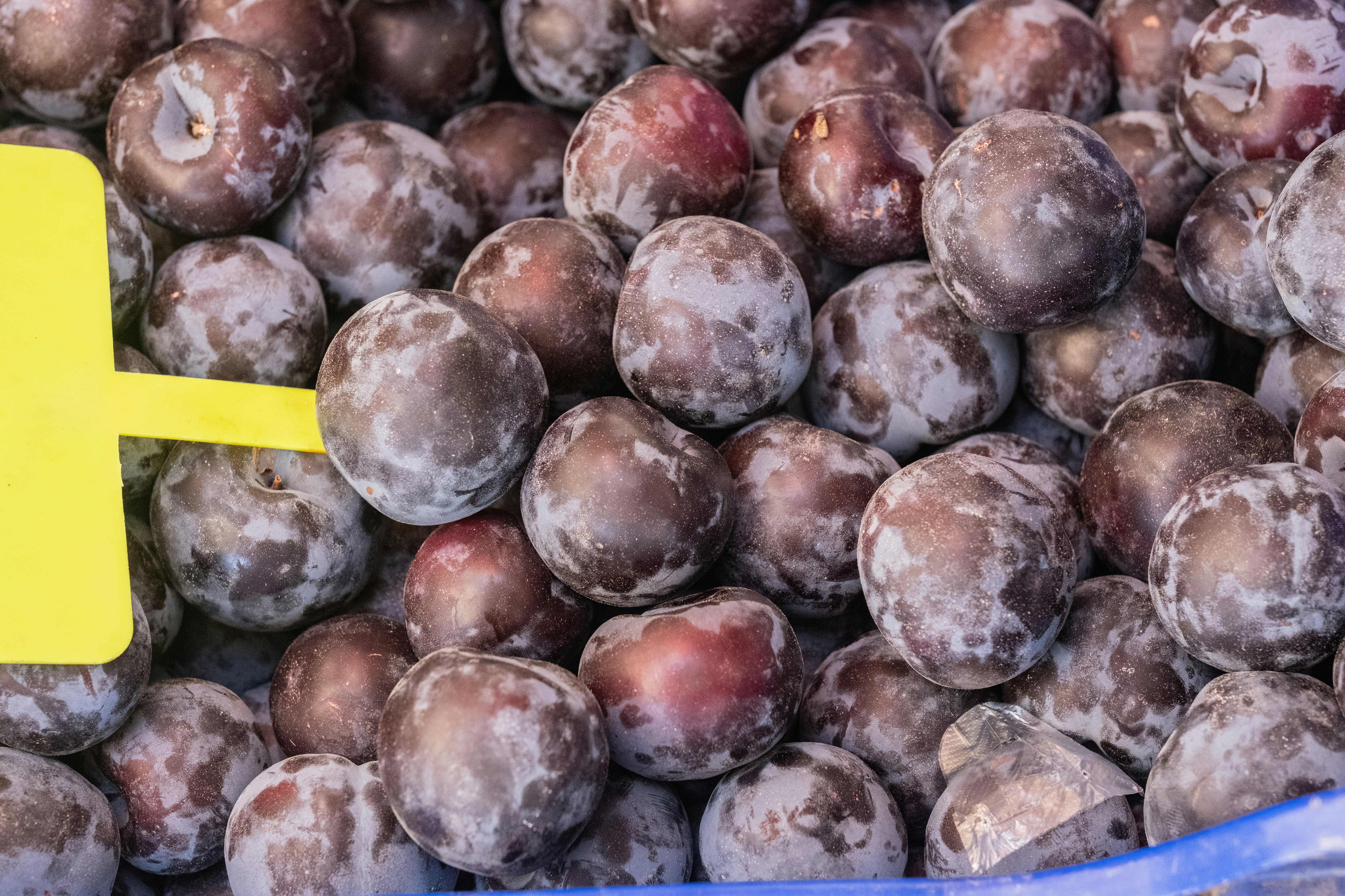 A basket filled with lots of plums next to a yellow sign photo – Free ...