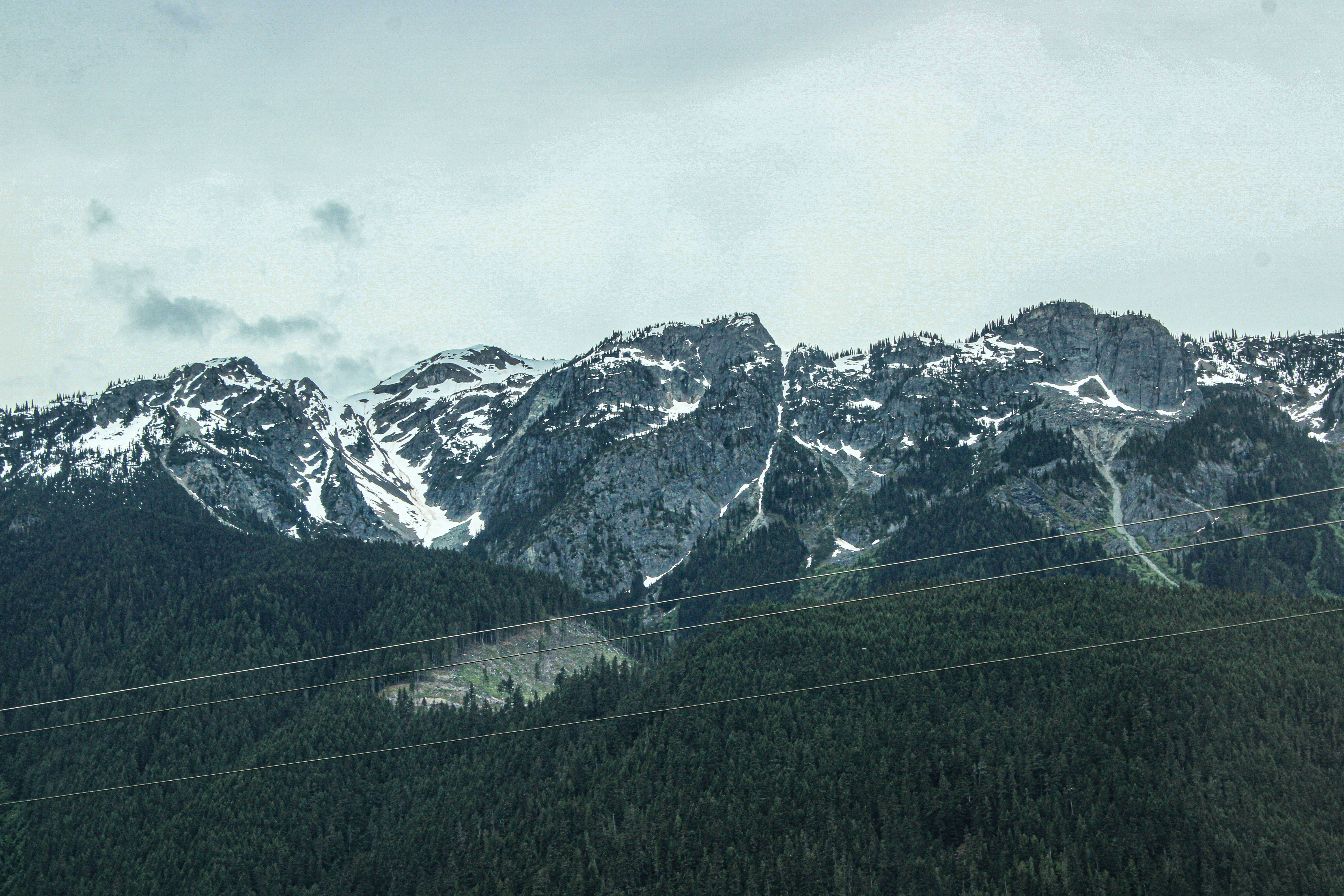 Snow-Kissed Alpine Crest Above a Pine Forest