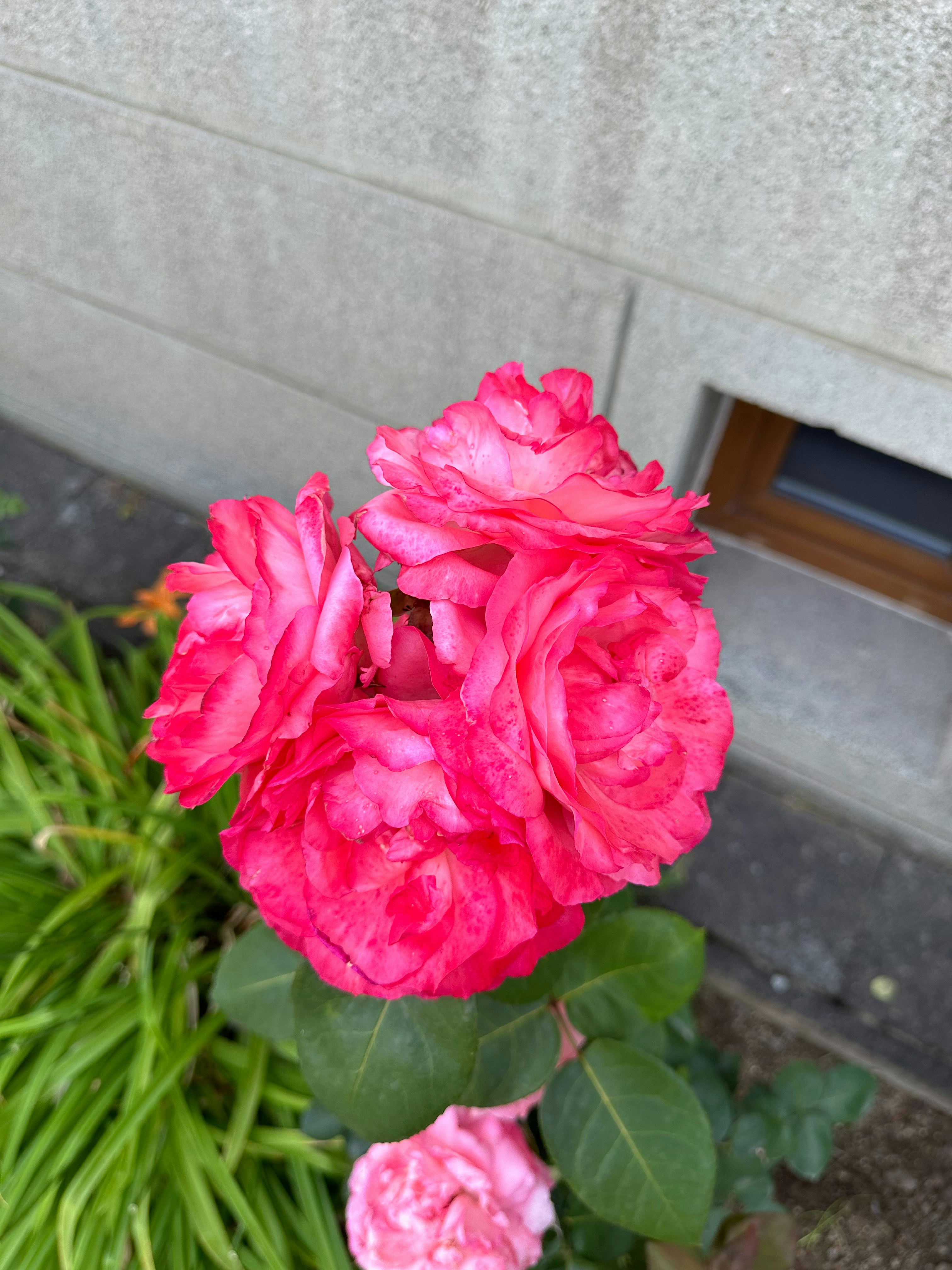 Radka E (@ra_en) | Unsplash Photo Community