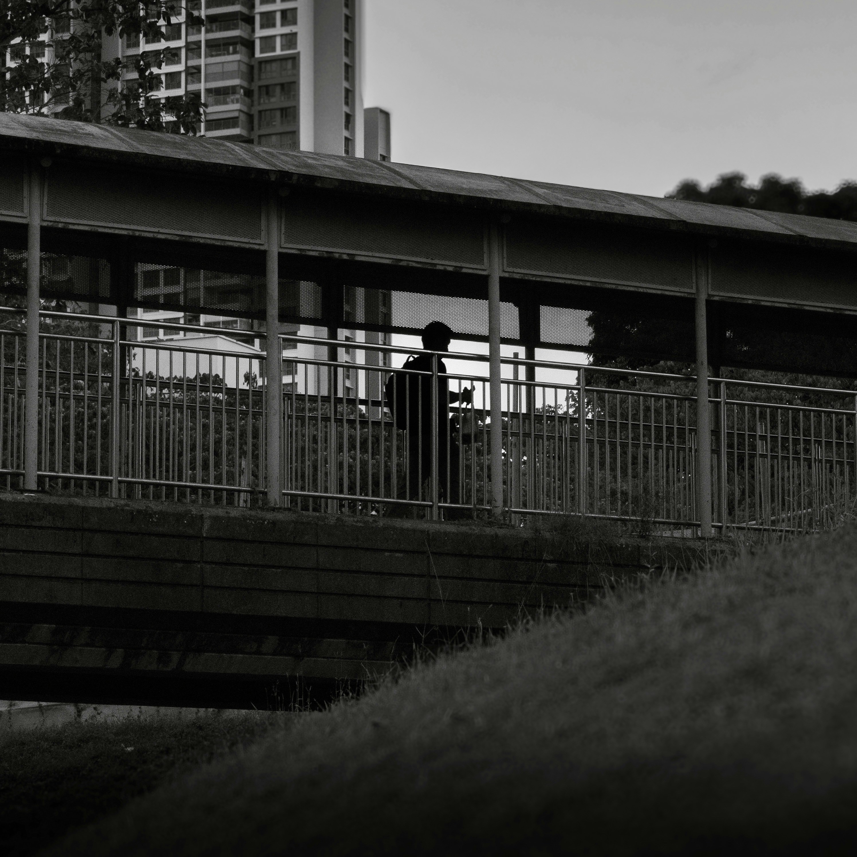 Urban Solitude: A Moment in Shadows
