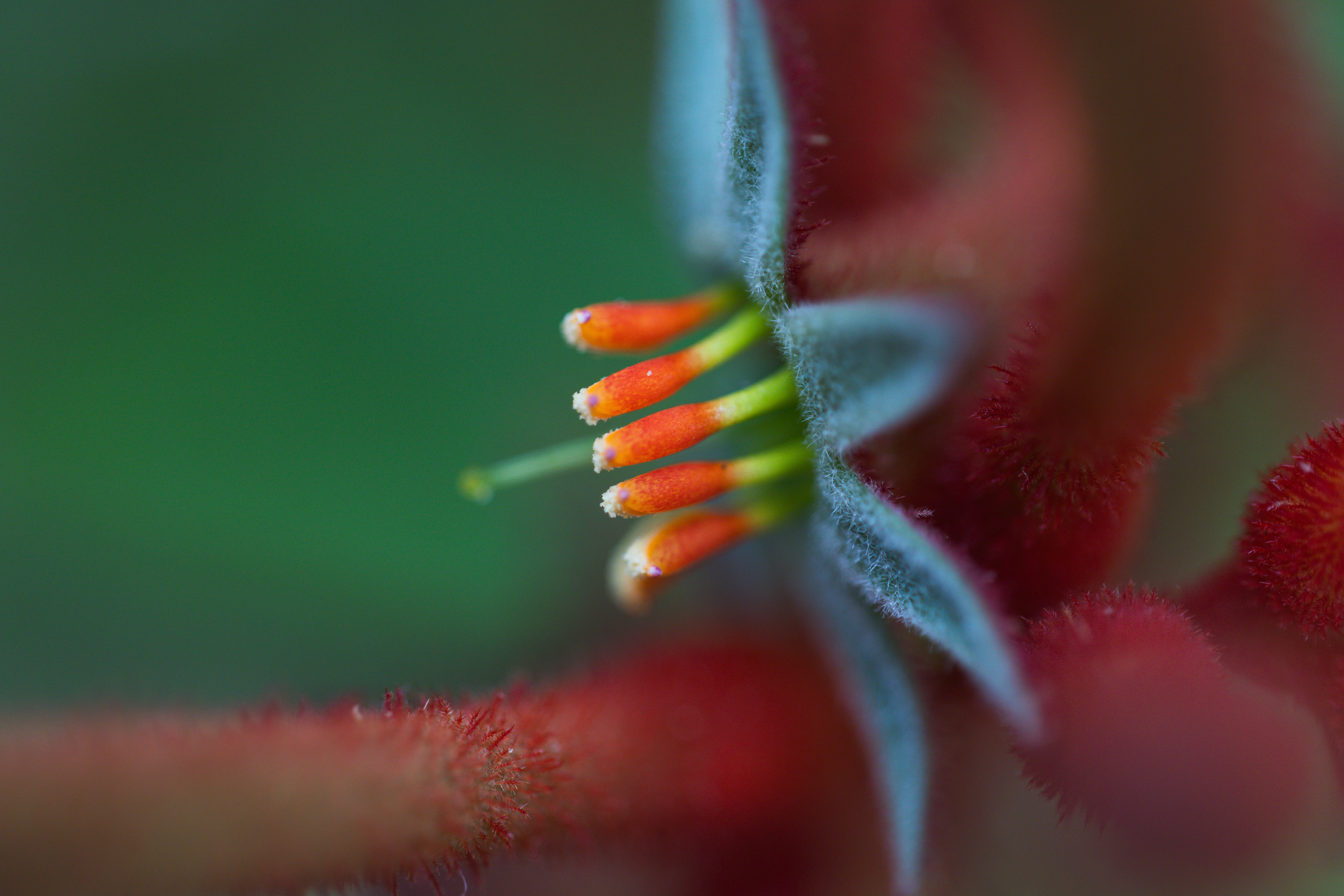 Photo by Rapha Wilde with Canon EOS R5