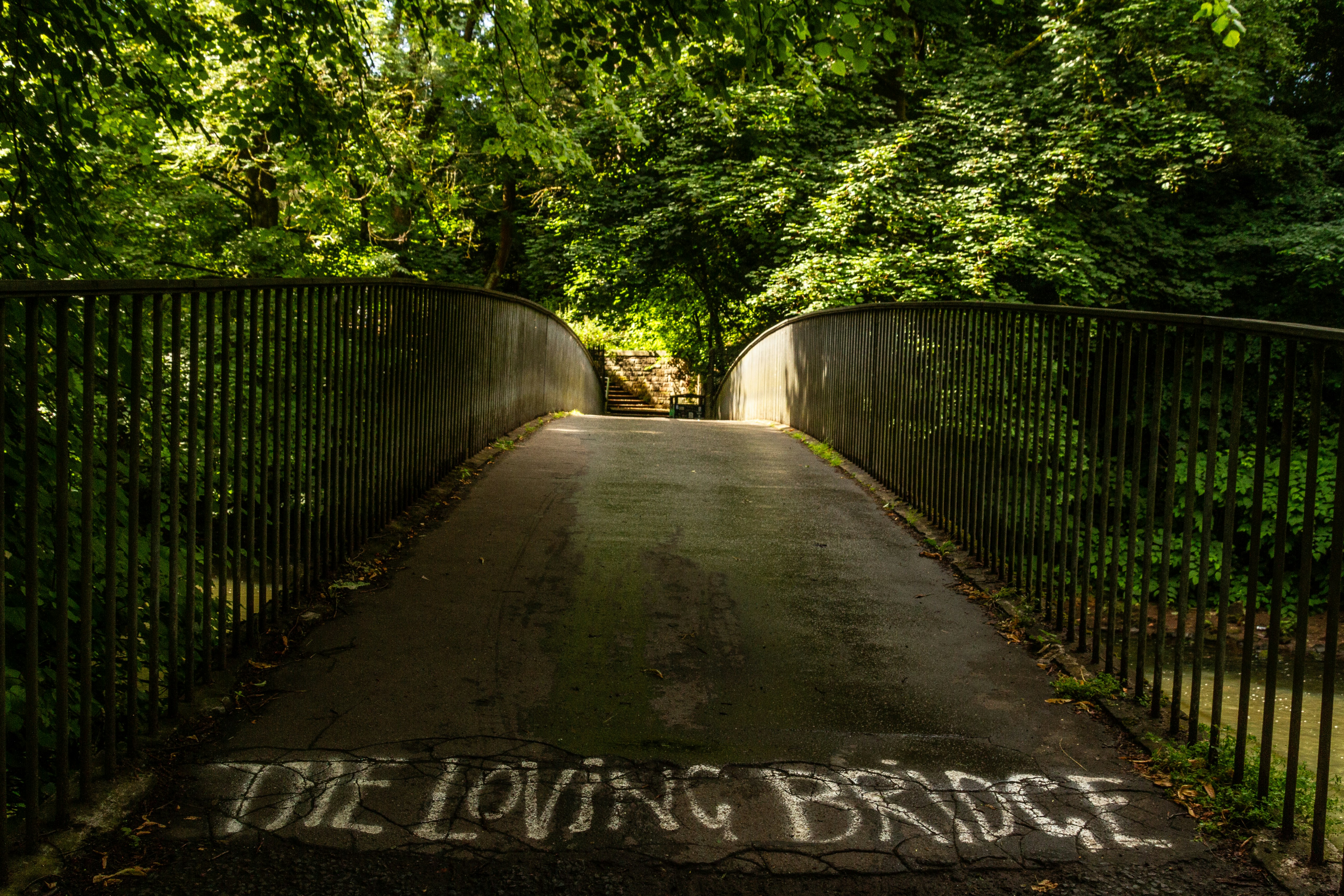 Photo by m c with Canon EOS 7D