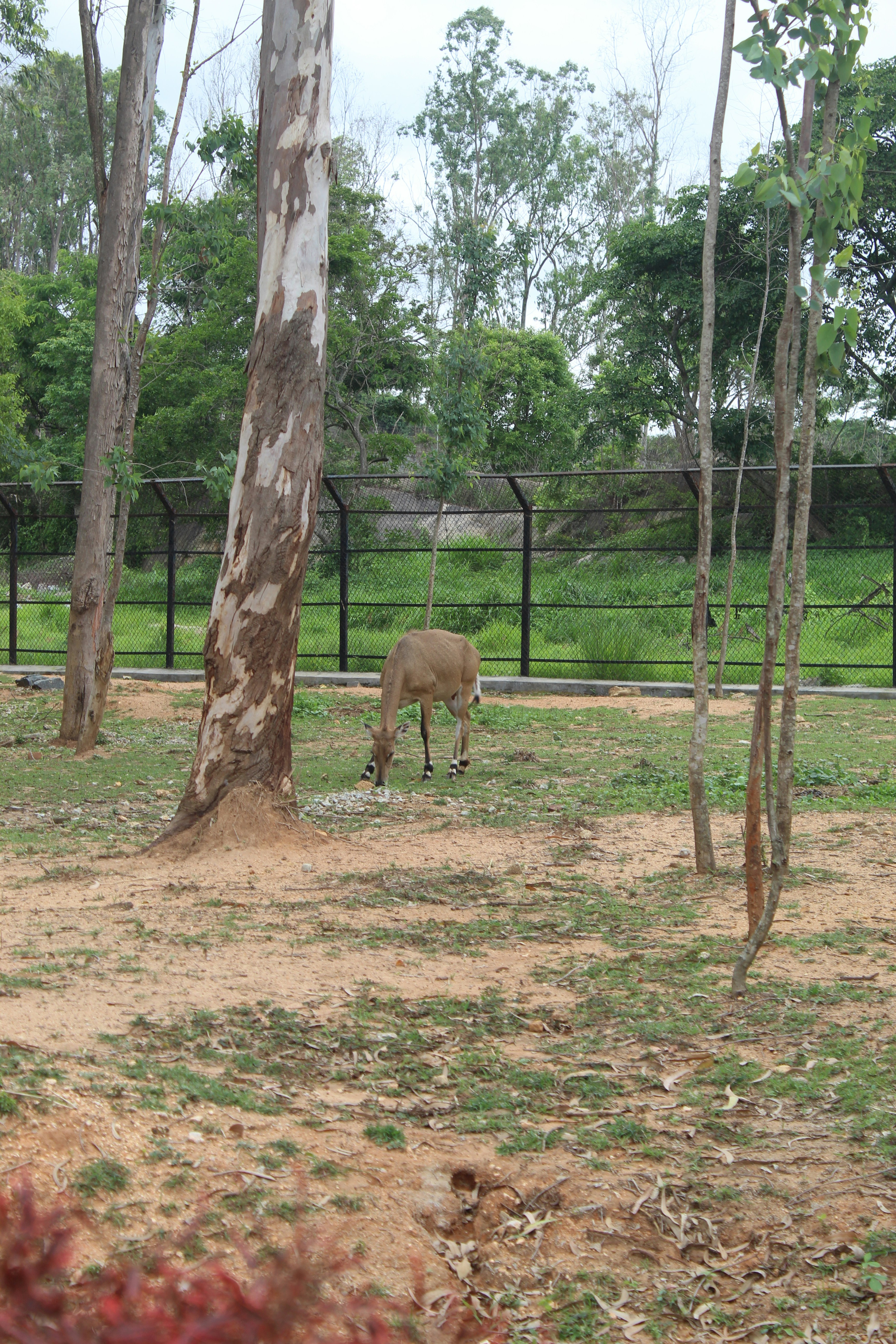 Photo by Rijin Raj with Canon EOS 3000D