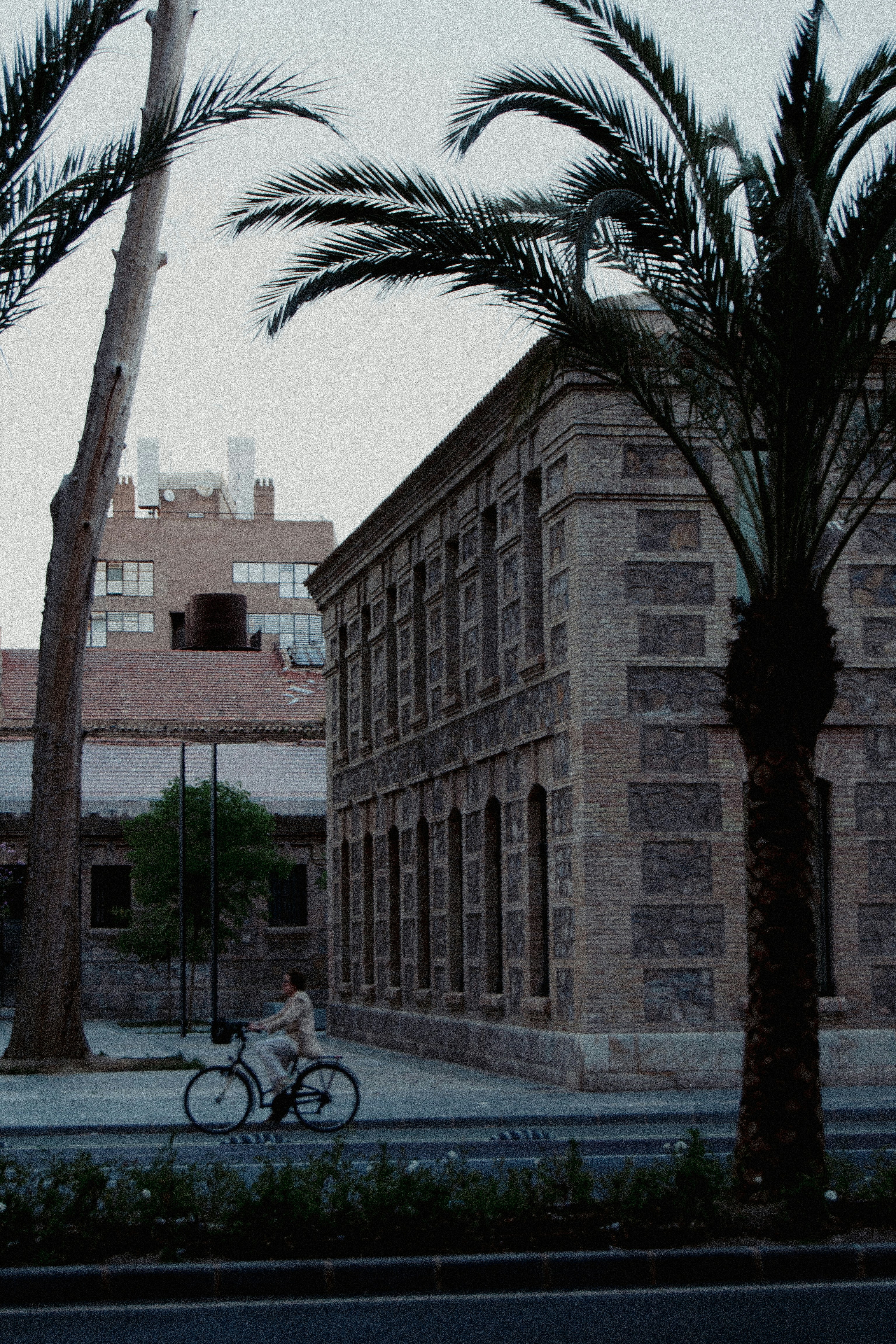 Photo by Luis Silvente with Nikon D3100