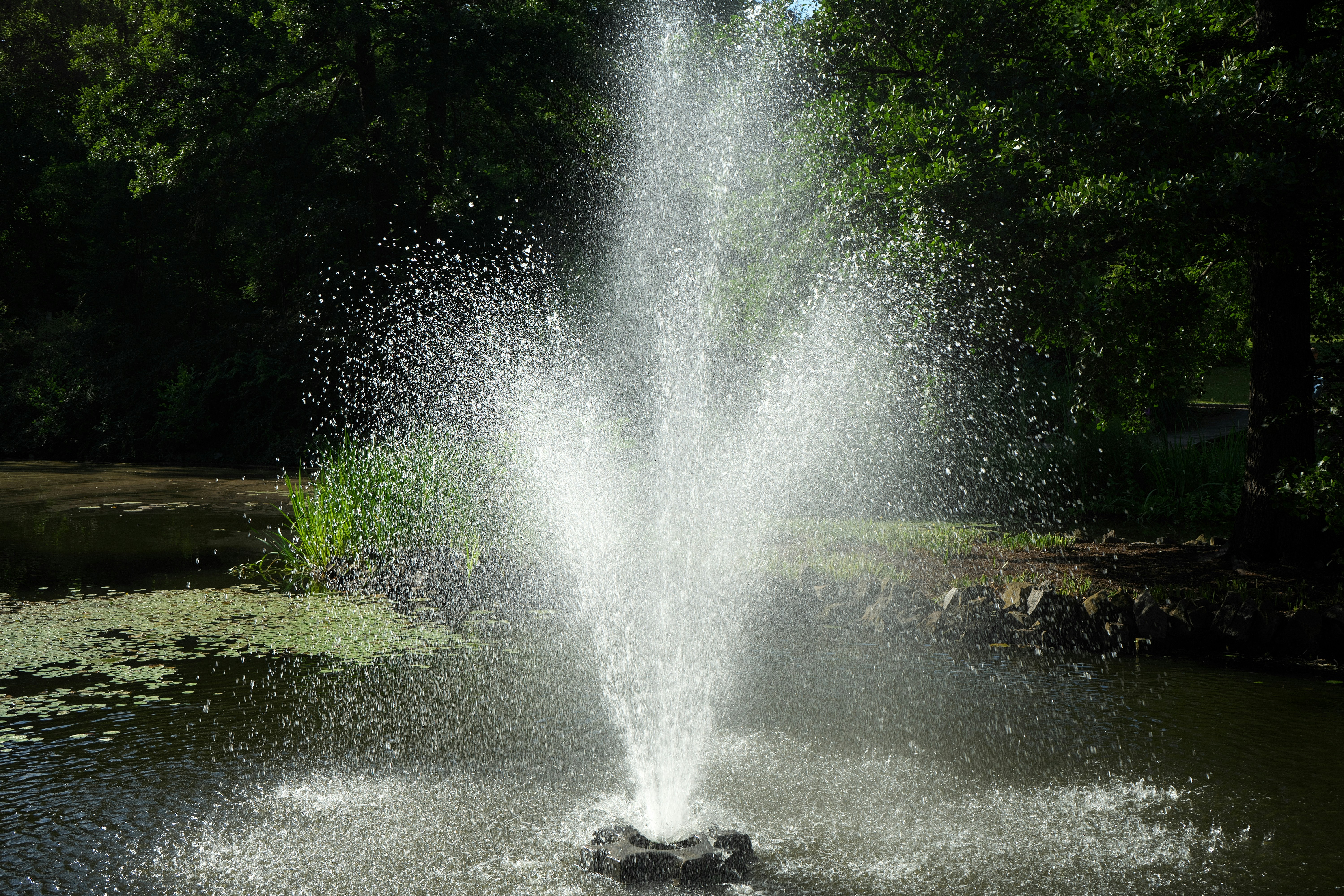 A fountain spewing water into a pond surrounded by trees photo – Free ...