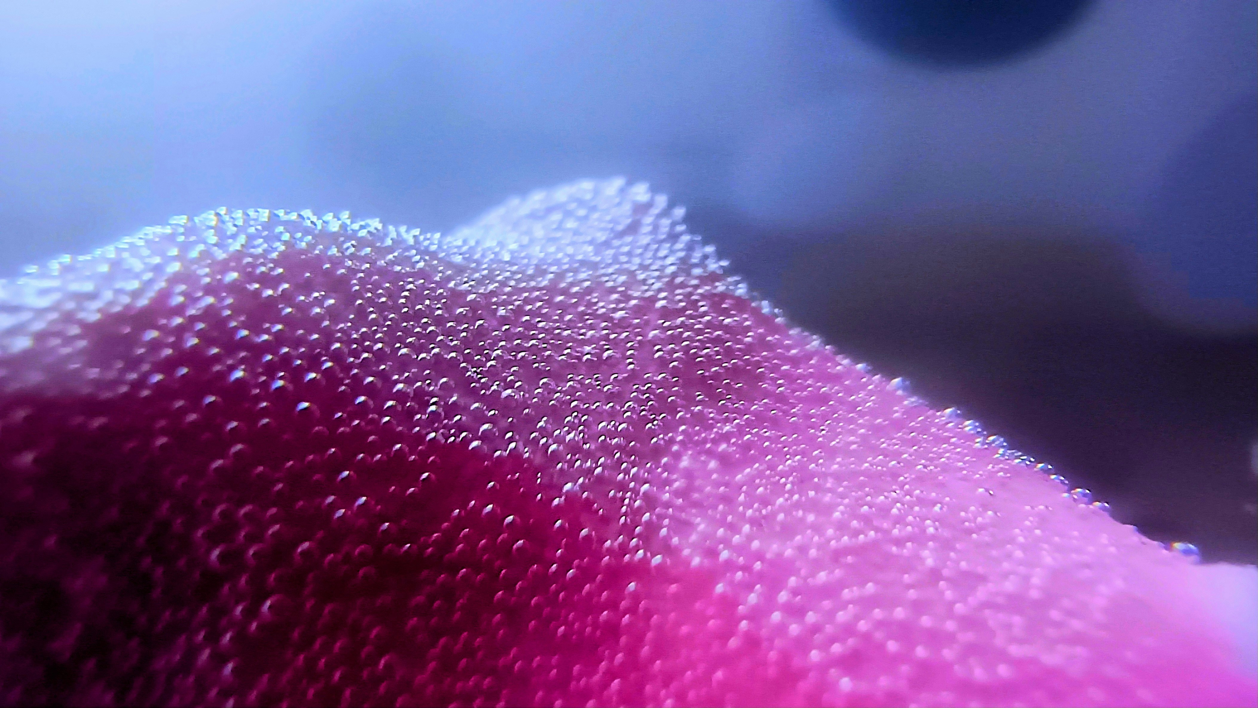 Pink Bubbles Pictures | Download Free Images on Unsplash