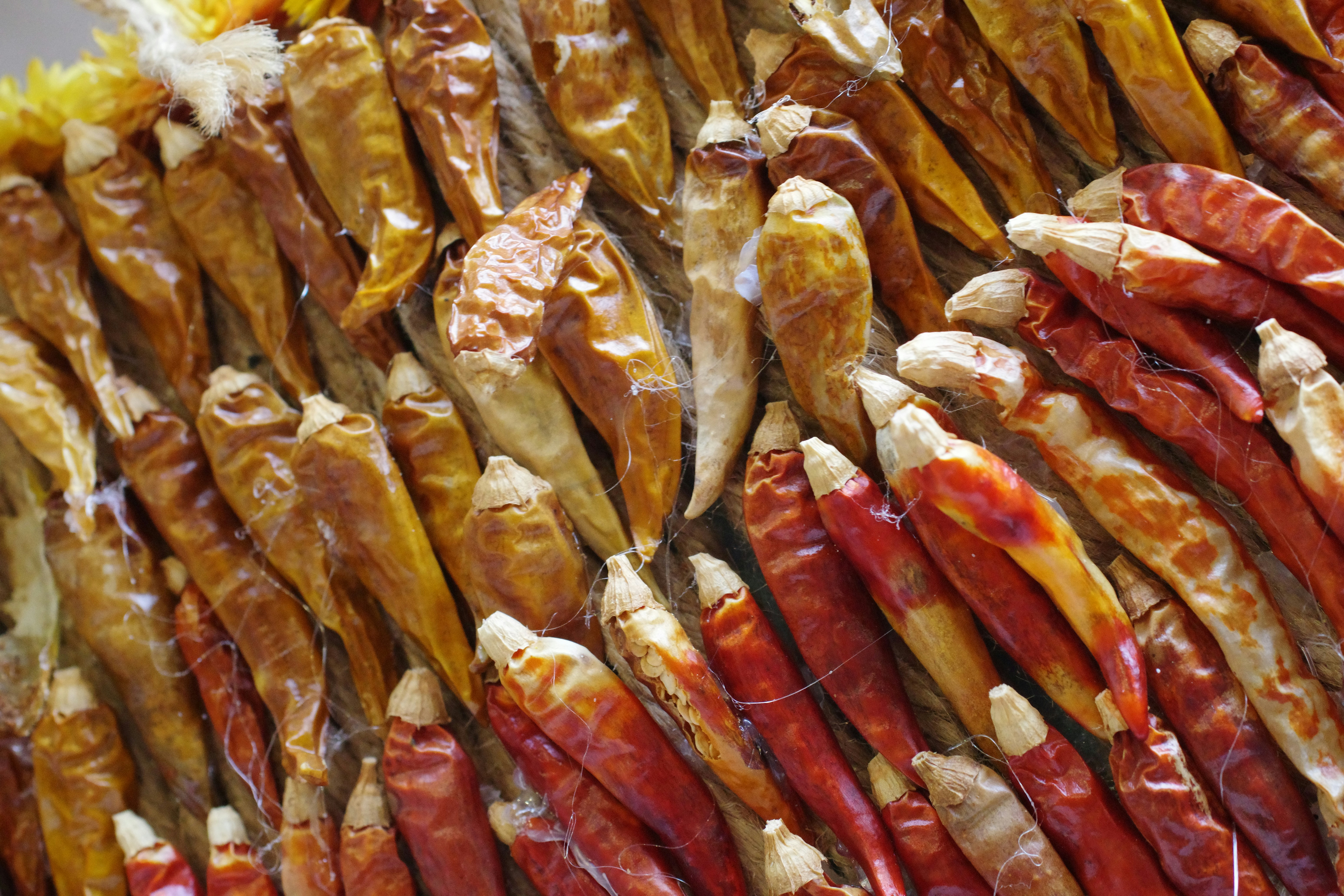 A Vibrant Cascade of Dried Peppers