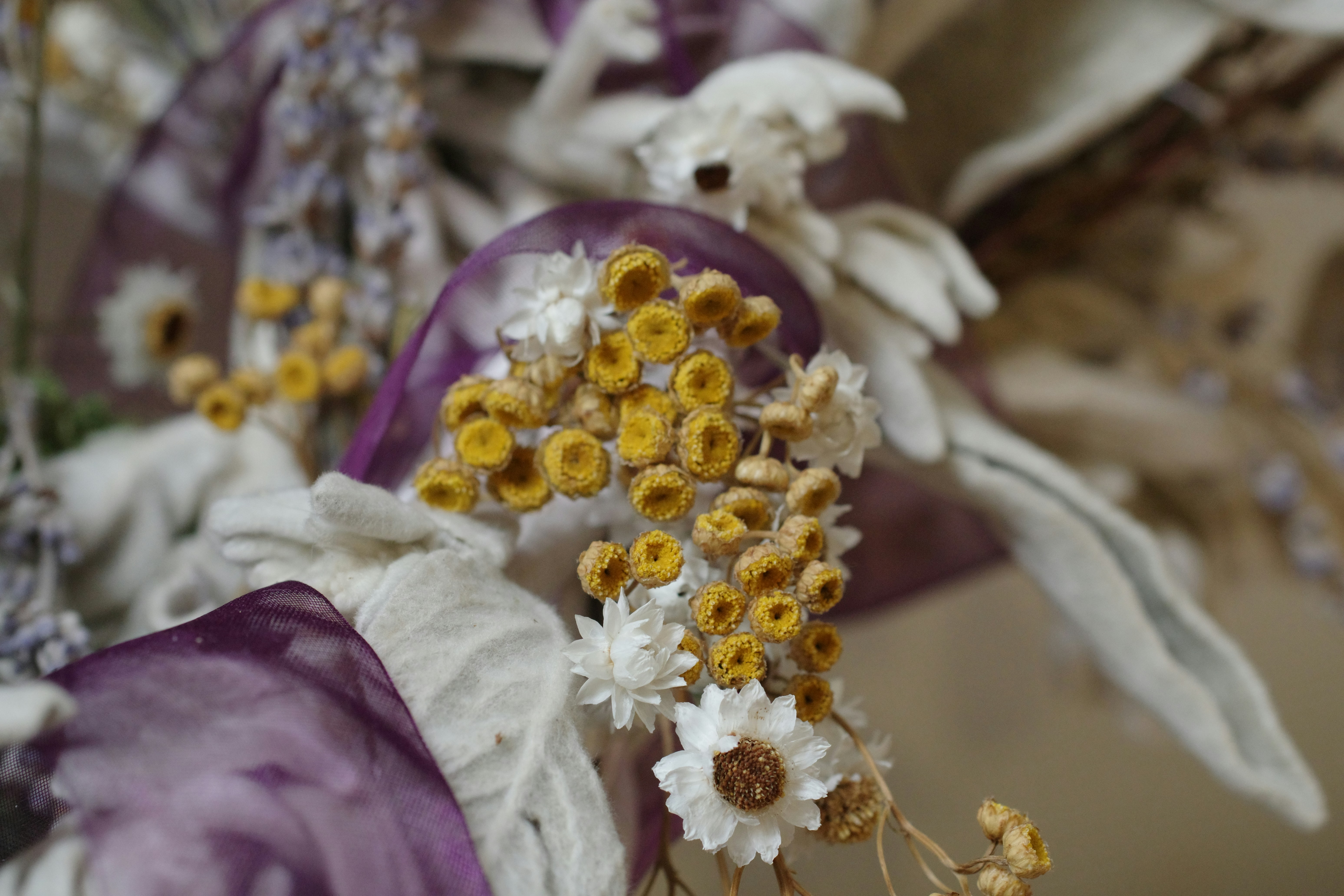 Purple-petaled bouquet with bright yellow centers in a soft studio blur
