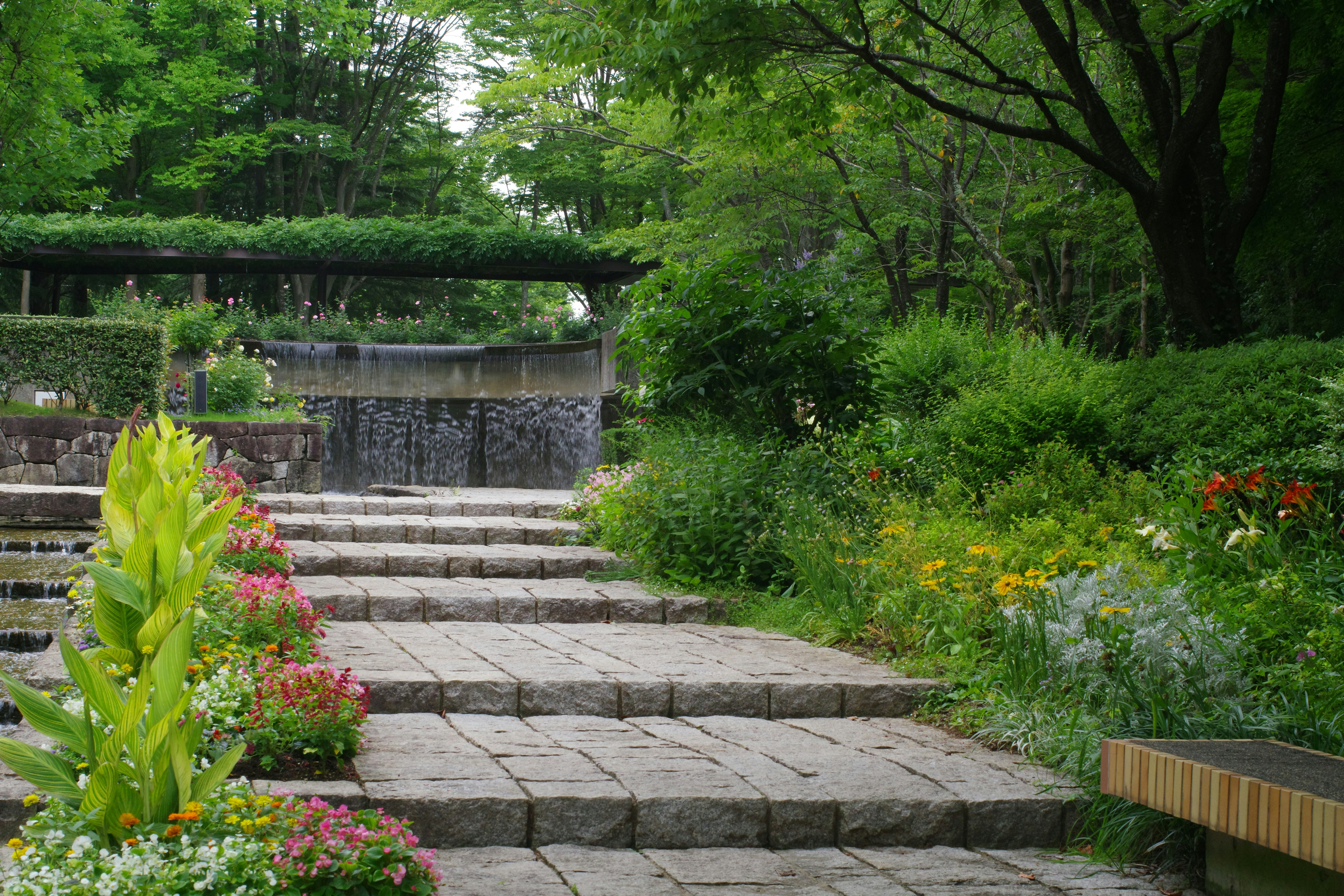 A bunch of steps that are in a garden photo – Free Green Image on Unsplash