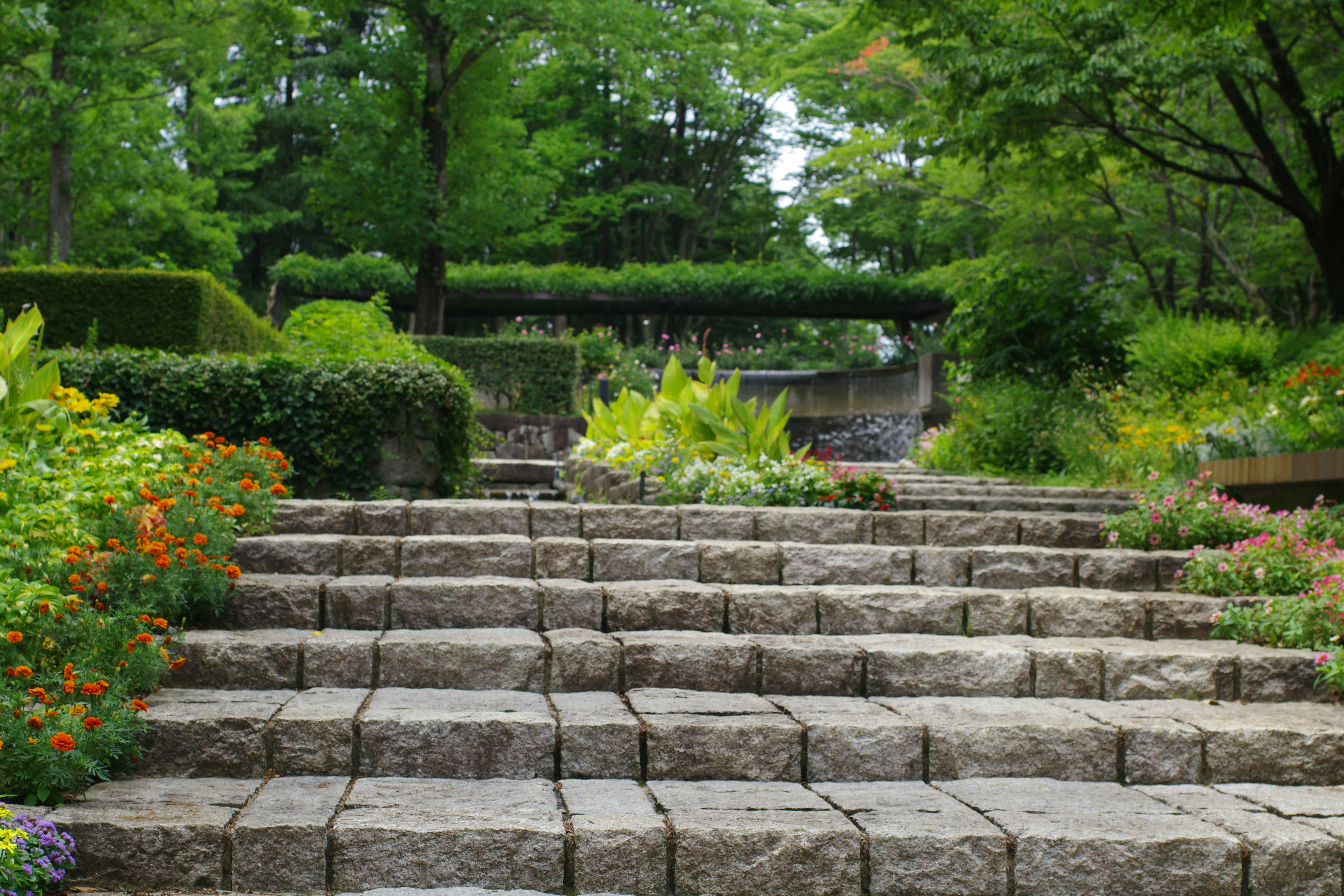 A bunch of steps that are in a garden photo – Free 日本、茨城県水戸市小吹町504 ...