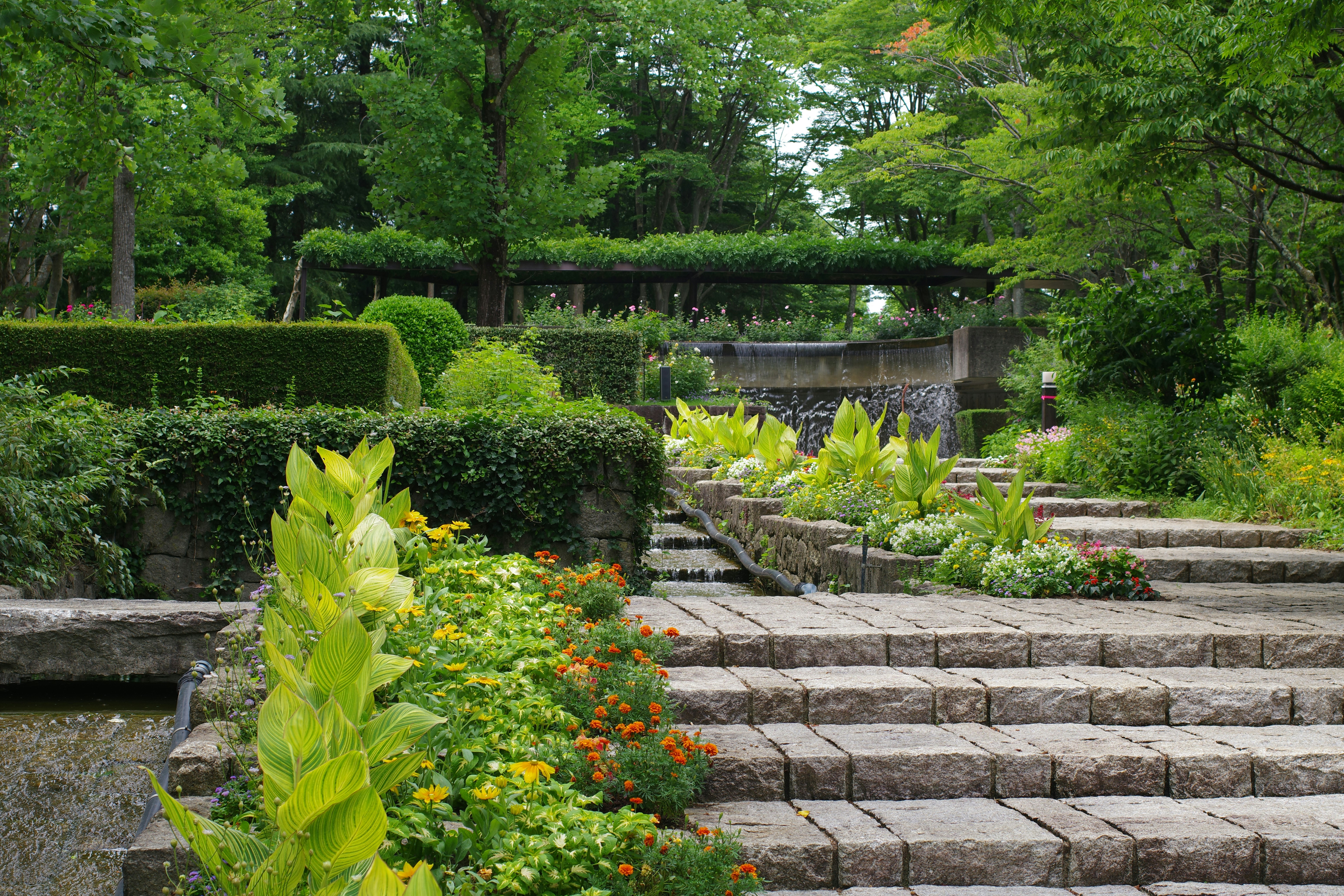 A bunch of steps that are next to some plants photo – Free Flower Image ...