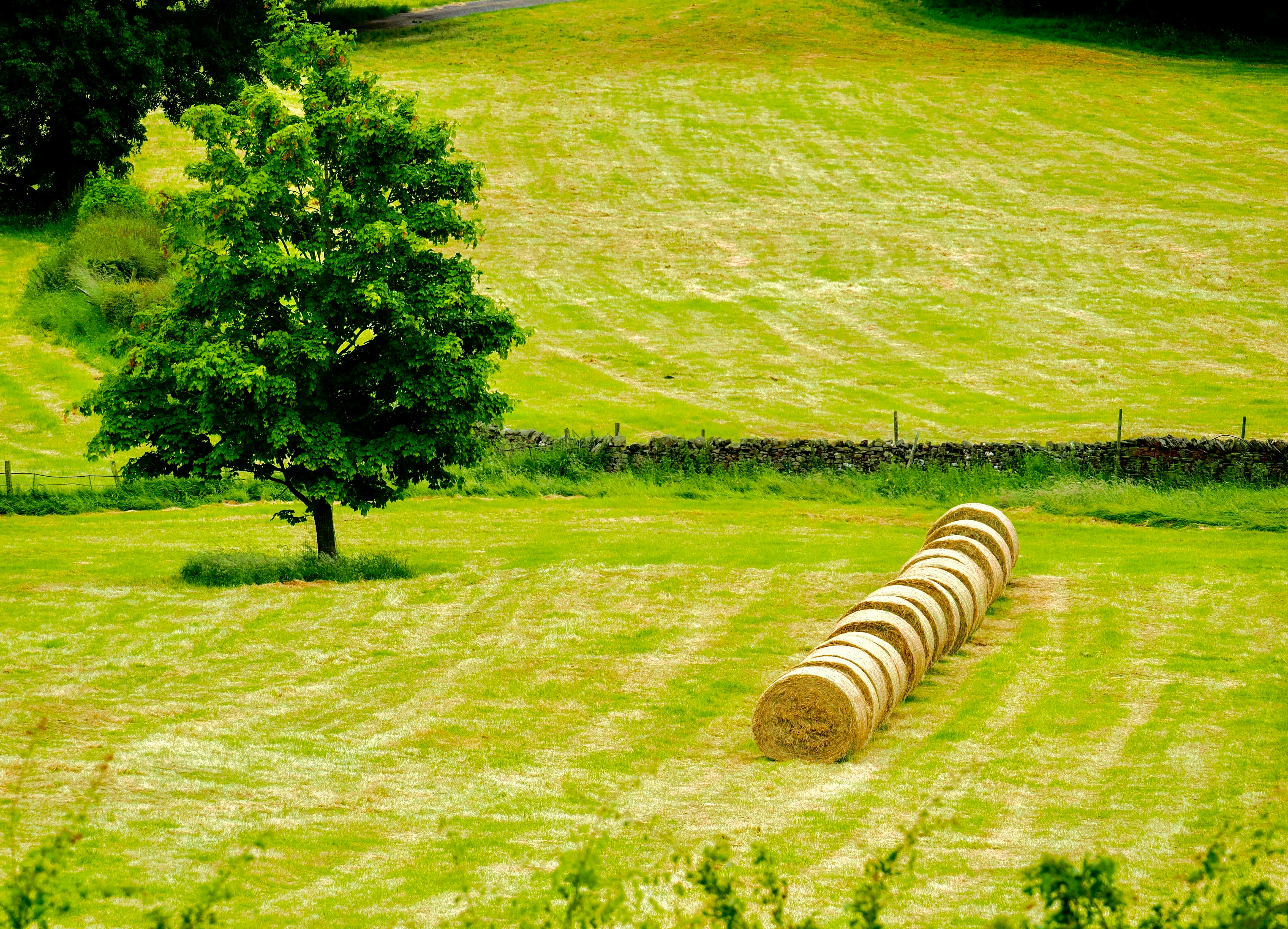 Diagonal Hay Bales: A Quiet Field's Linear Rhythm