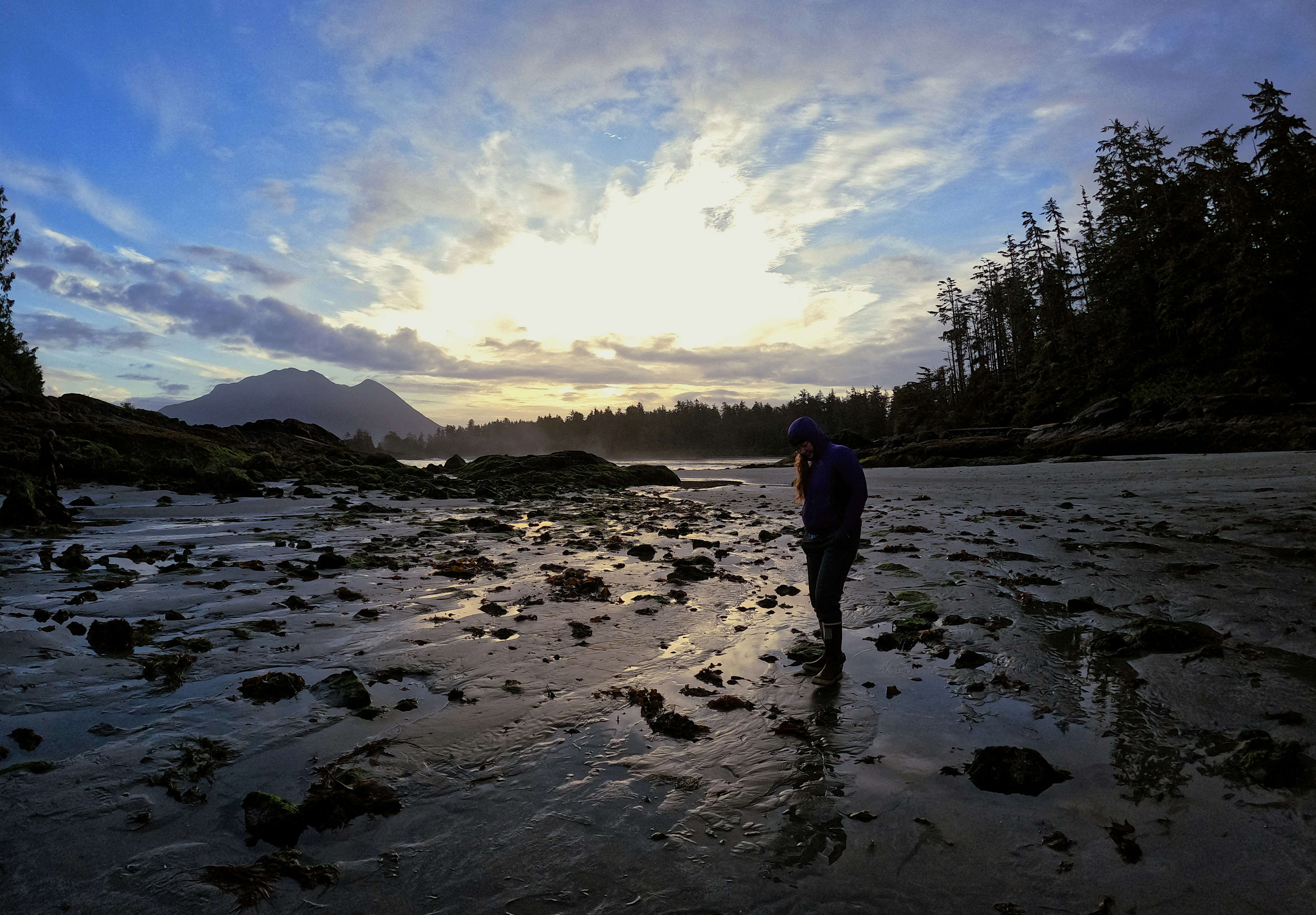 Person walking across wet sand during low tide with a dramatic sunset sky and distant trees.