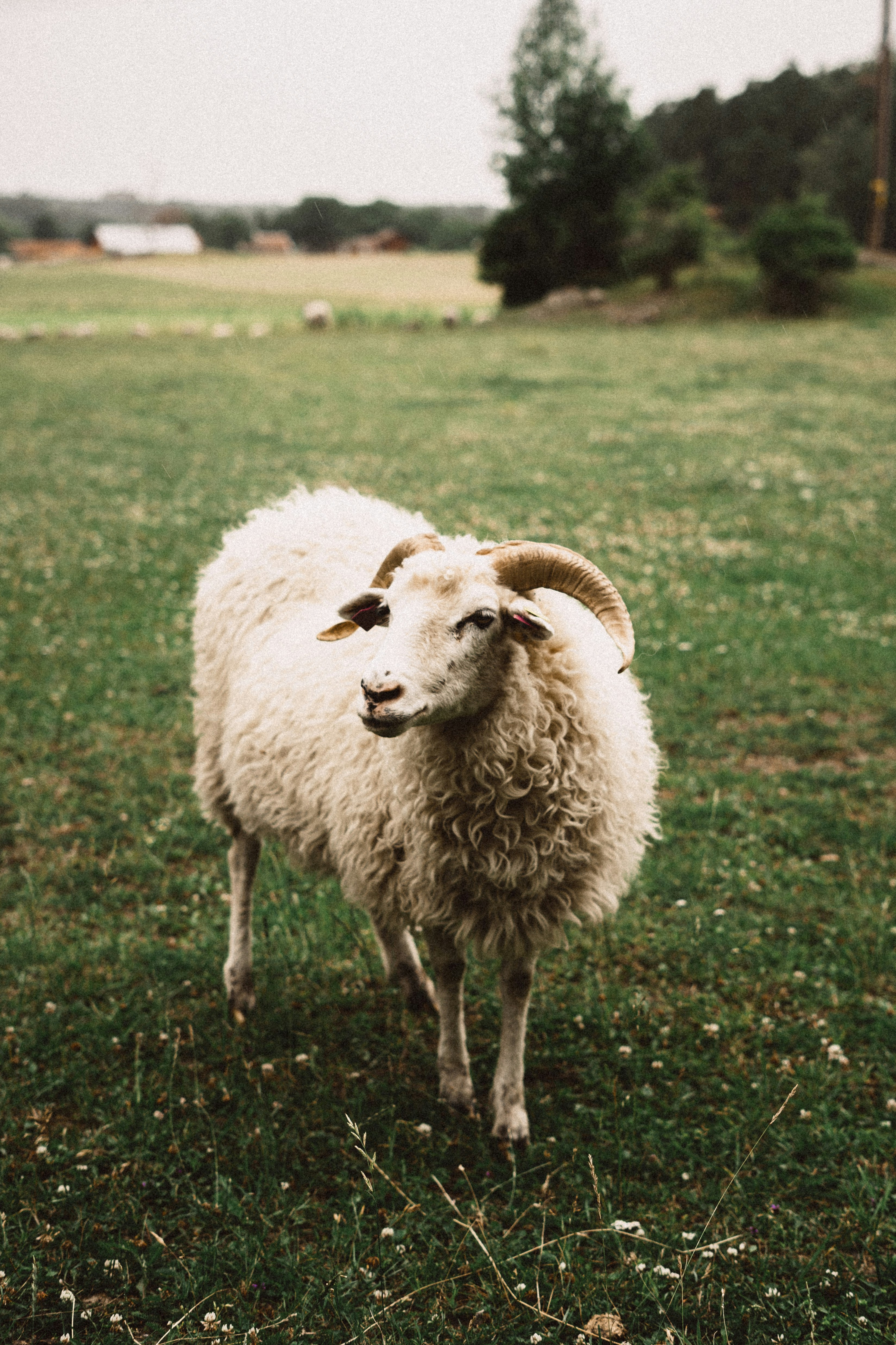 Photo by Ellie Ellien with Sony Alpha 7 III