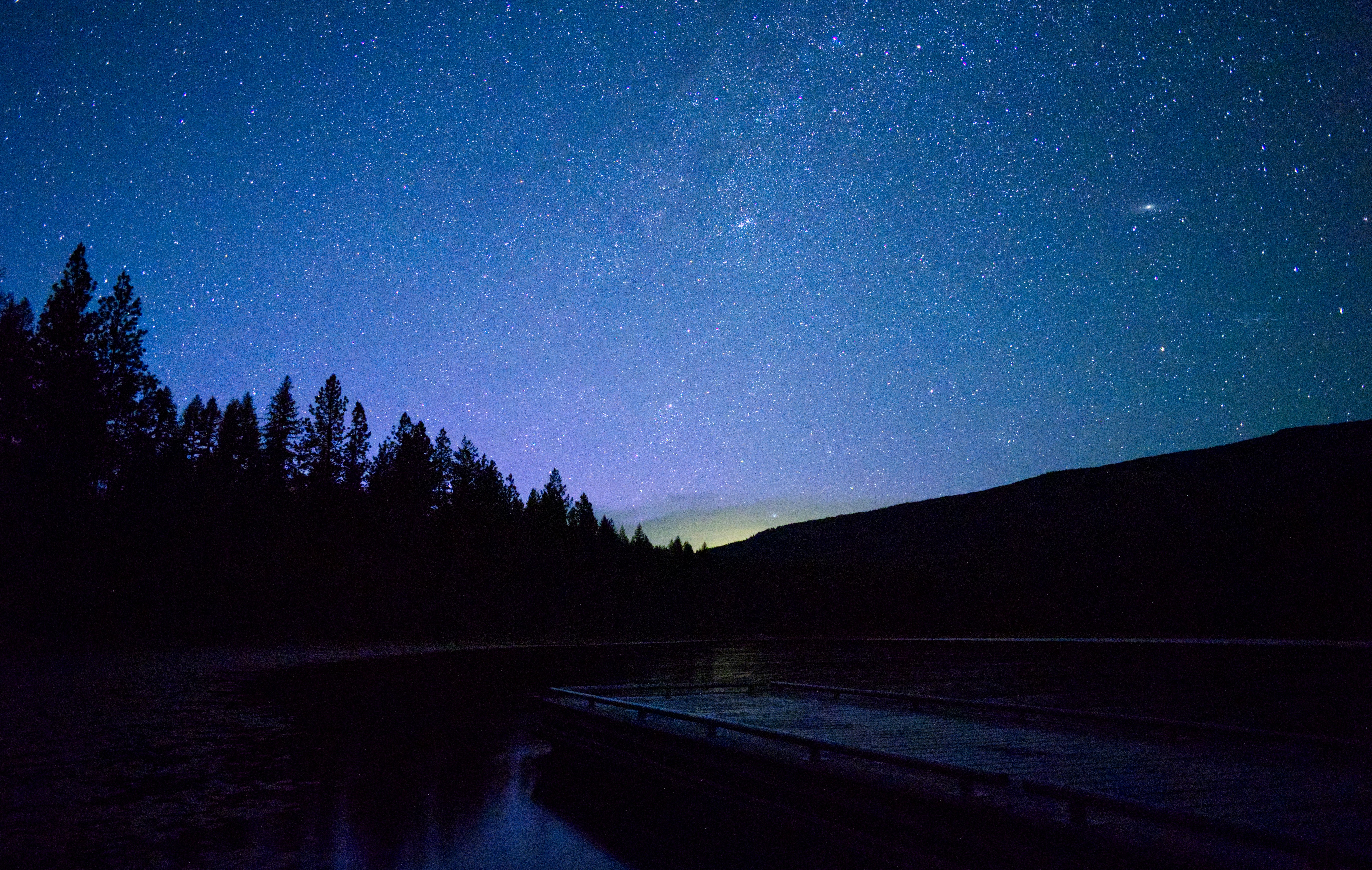 The night sky is filled with stars and trees photo – Free Blue Image on ...