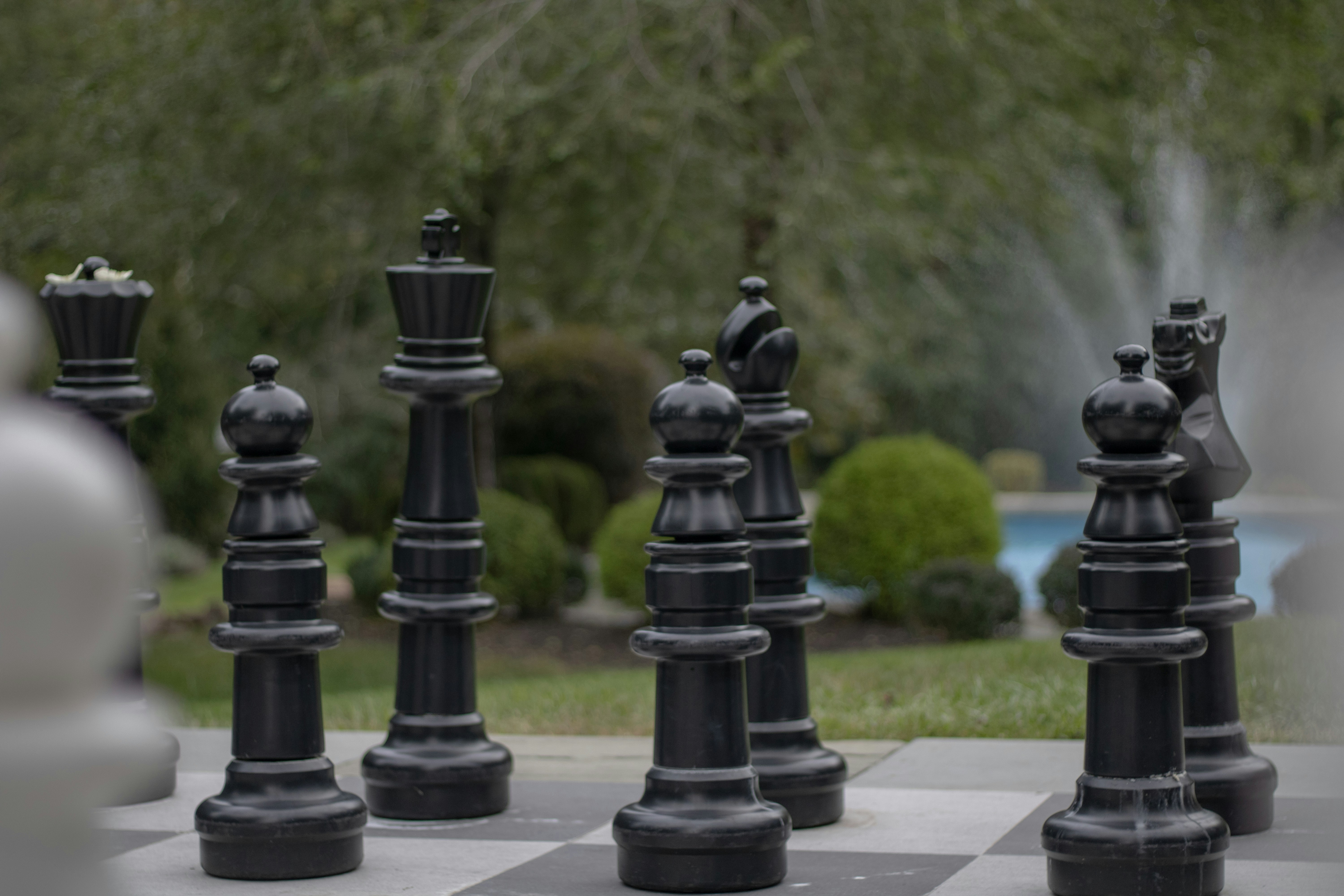 Park Chess Pictures | Download Free Images on Unsplash