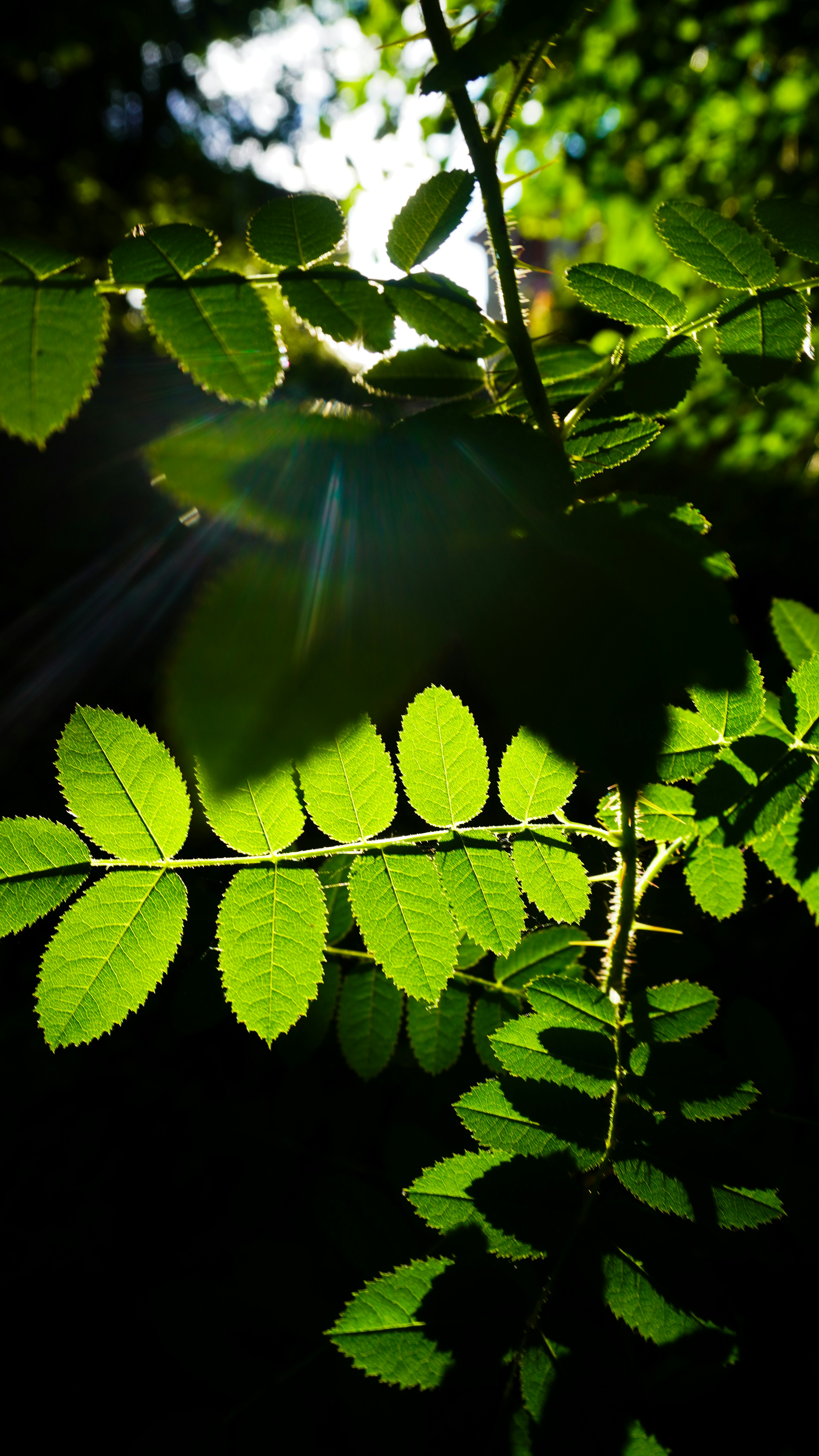 Photo by Tushar Agarwal with Sony Alpha 6400