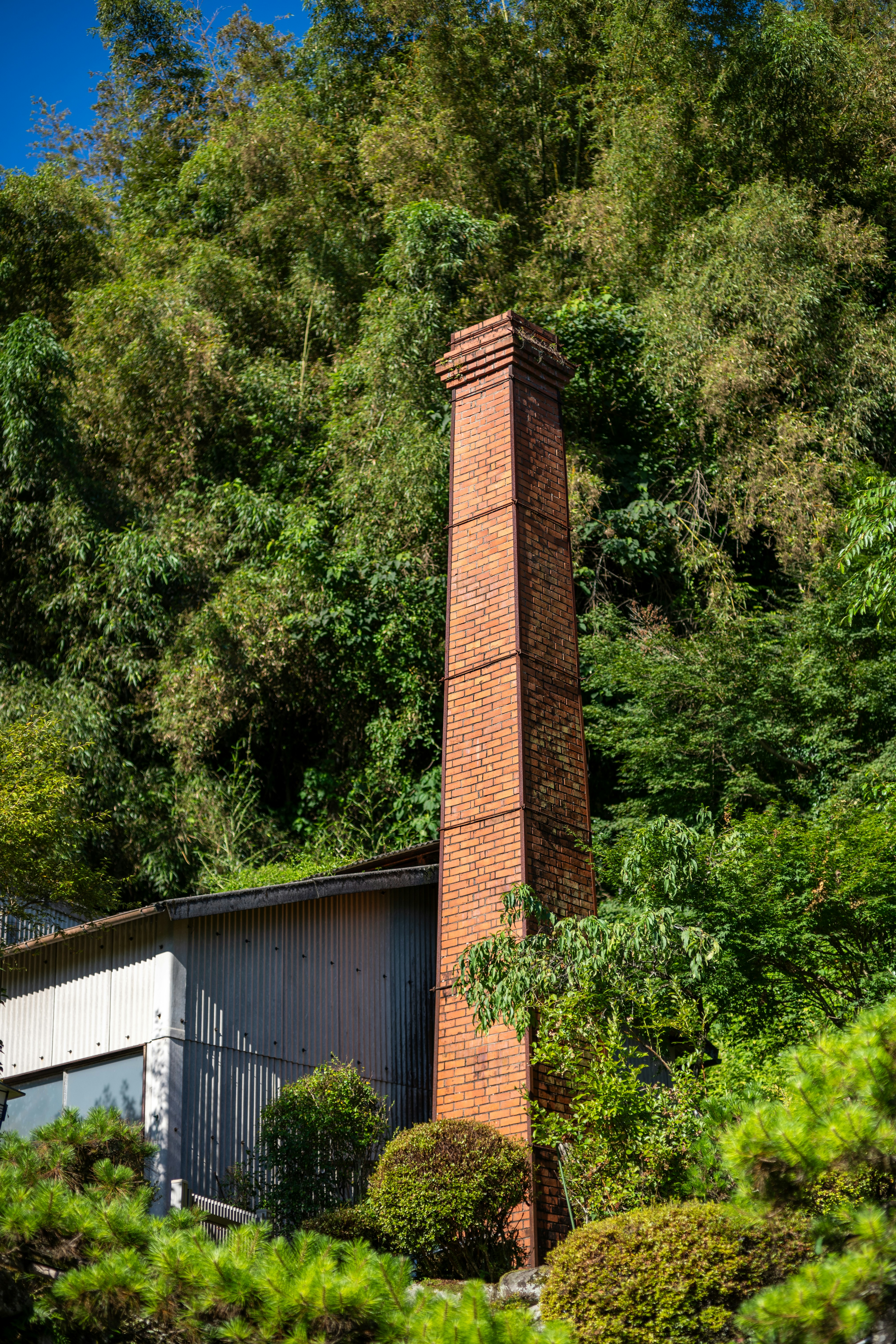 Brick Chimney Reaching Through the Green Canopy