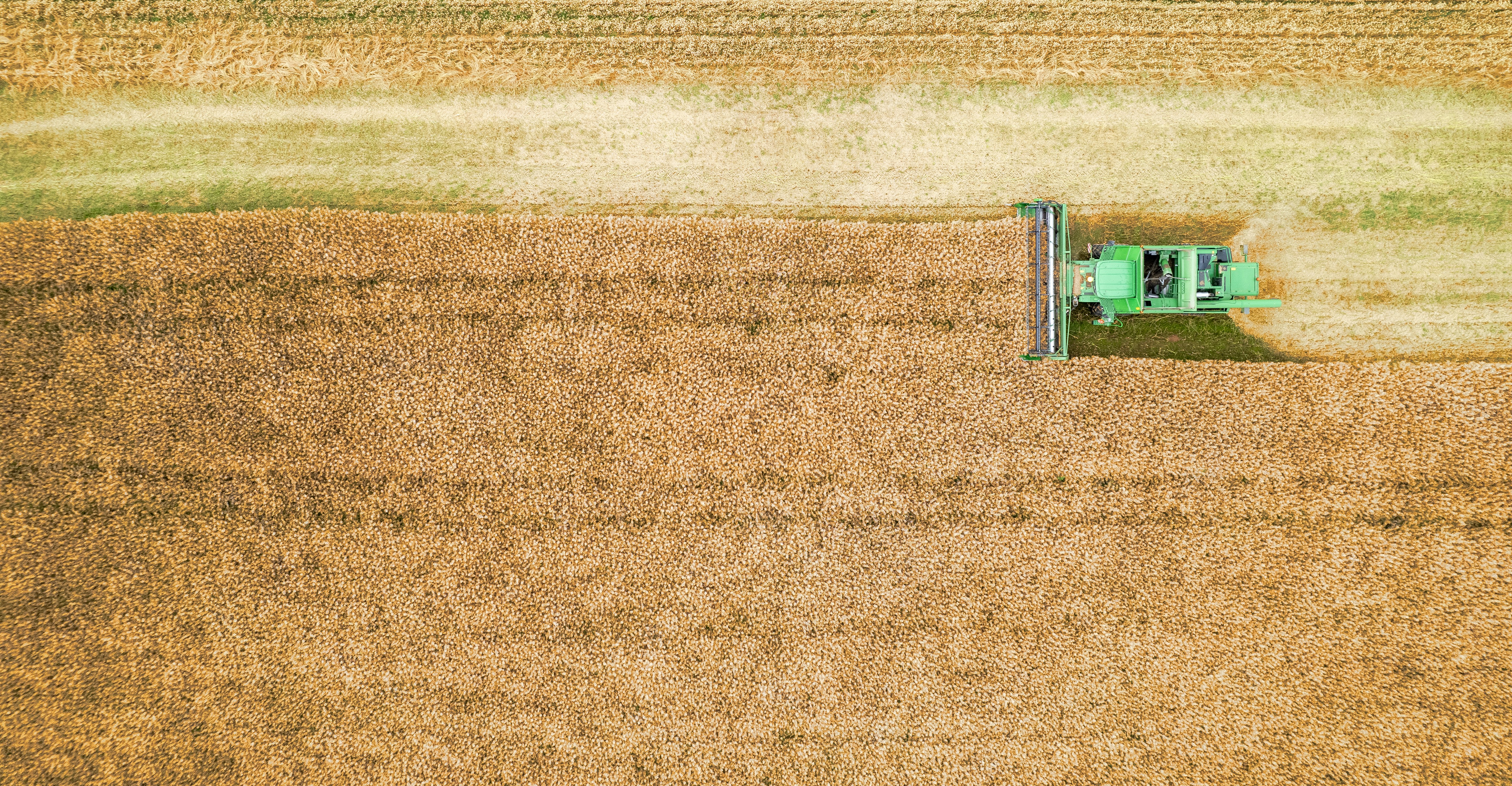 Aerial view of a green combine harvester working through a golden field of crops, showcasing the efficiency of modern farming techniques.