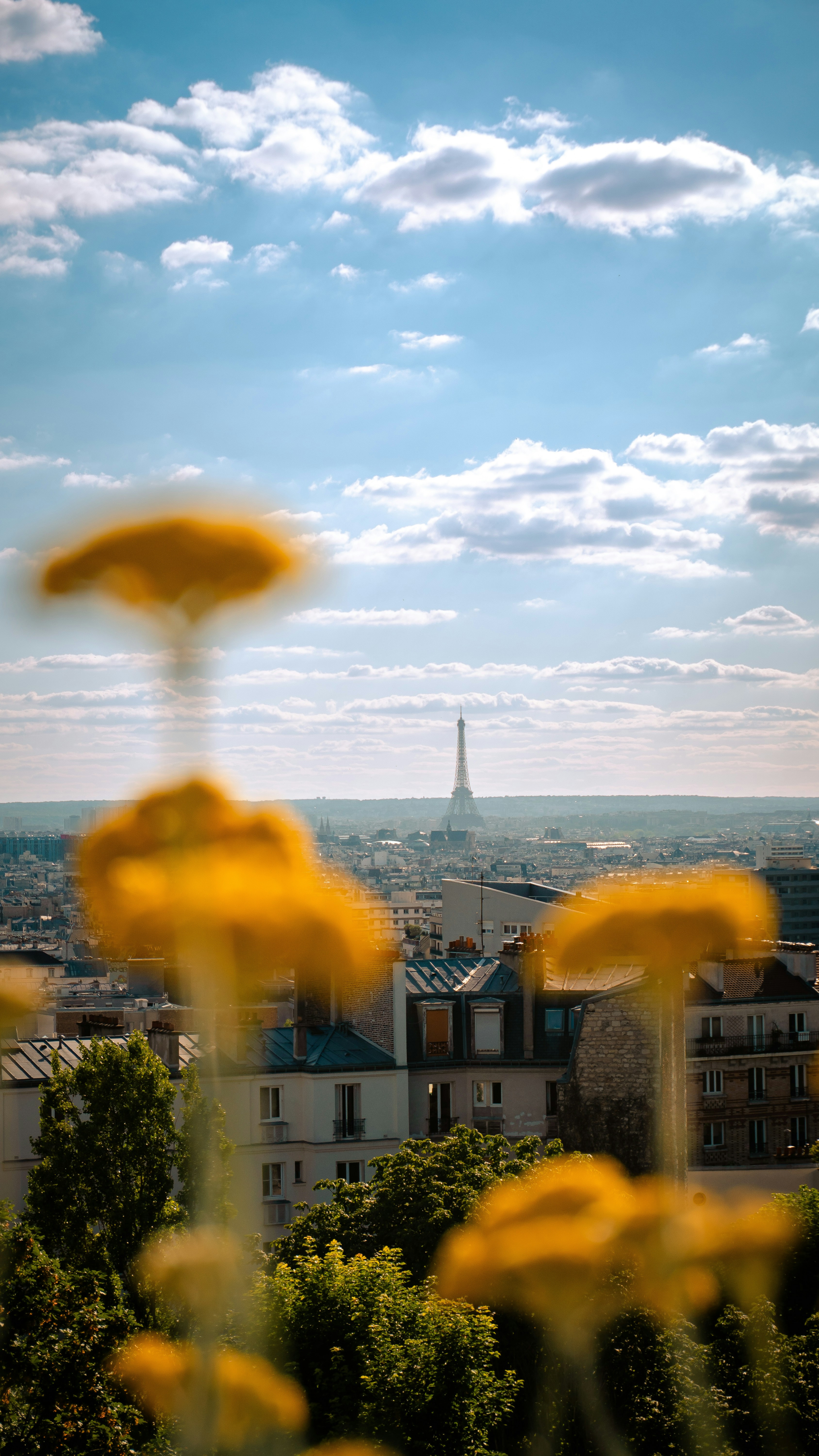 Paris skyline with the Eiffel Tower on the horizon, framed by blurred yellow flowers in the foreground.