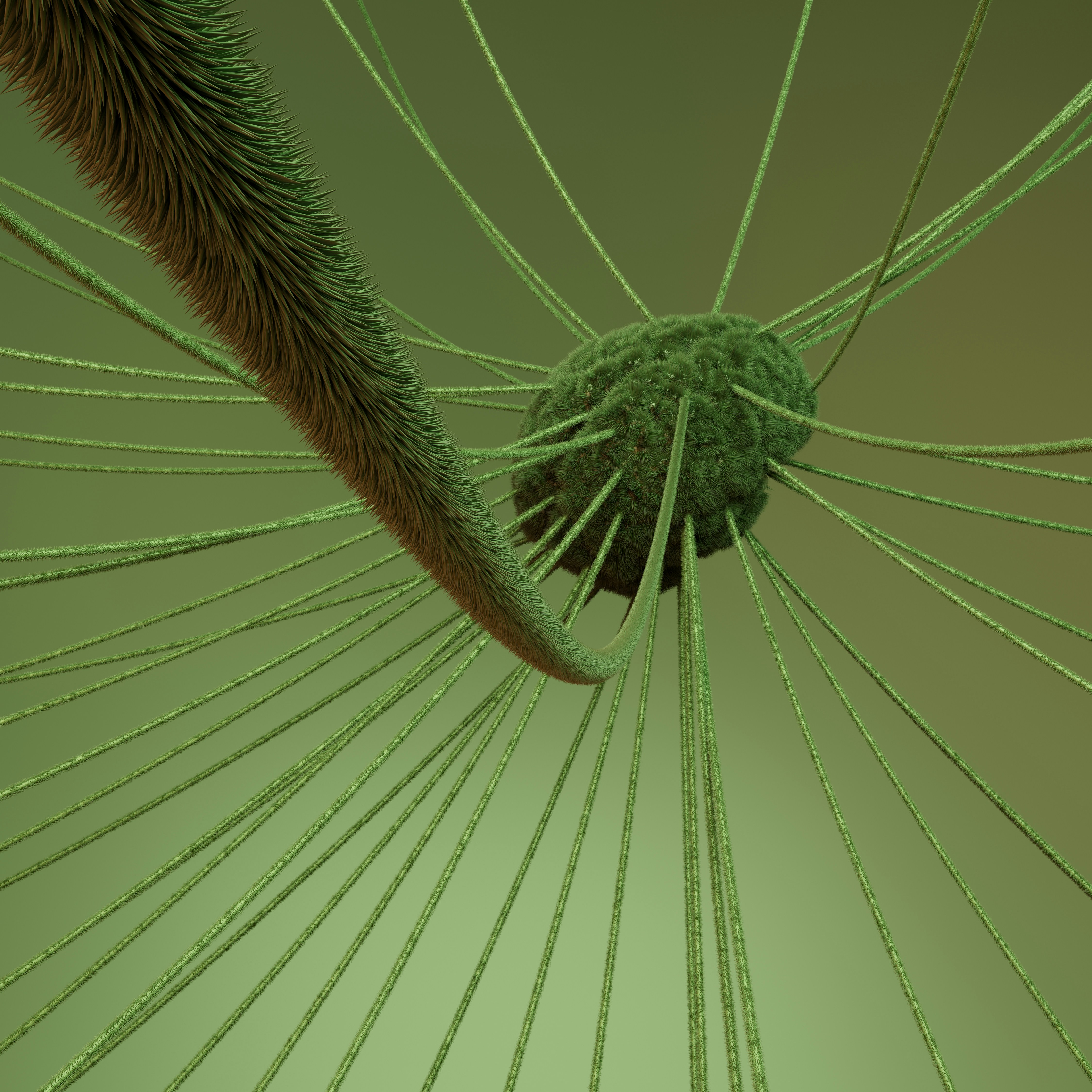 A close up view of a green plant stem photo – Free Digital image Image ...