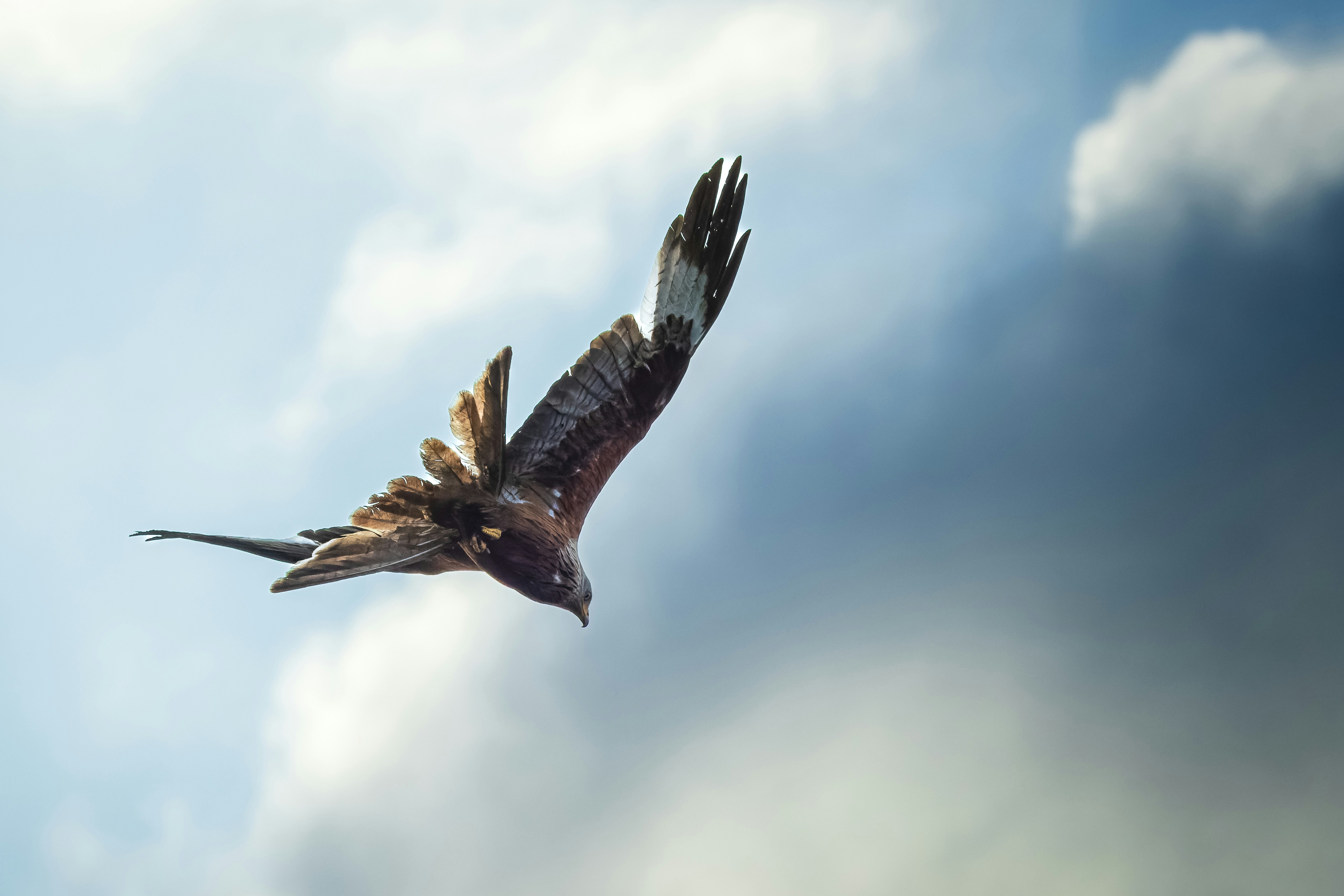 Robin McSkelly (@robinmcskelly) | Communauté photos Unsplash