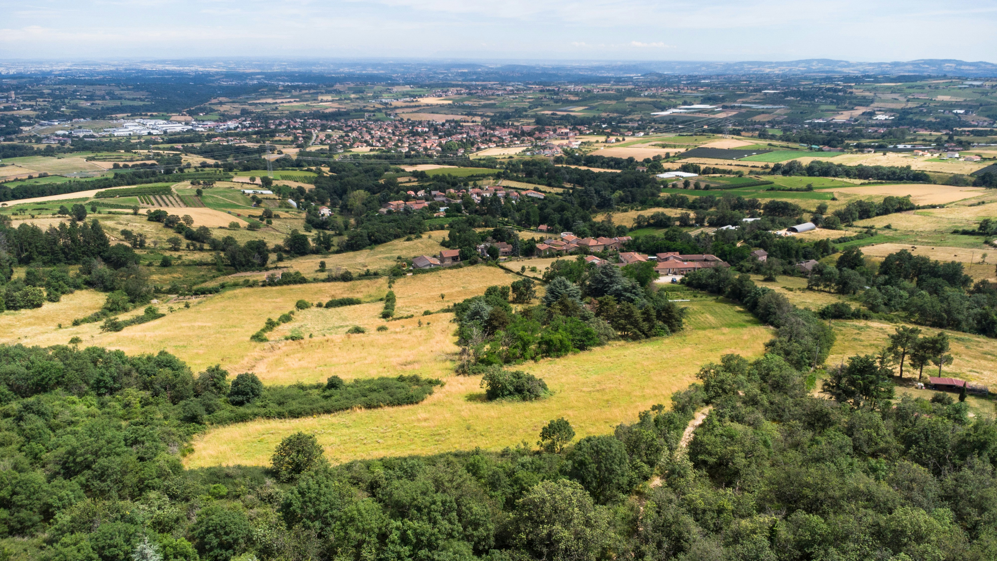 Aerial view of sprawling green and yellow fields with scattered trees and a distant town under a clear sky.