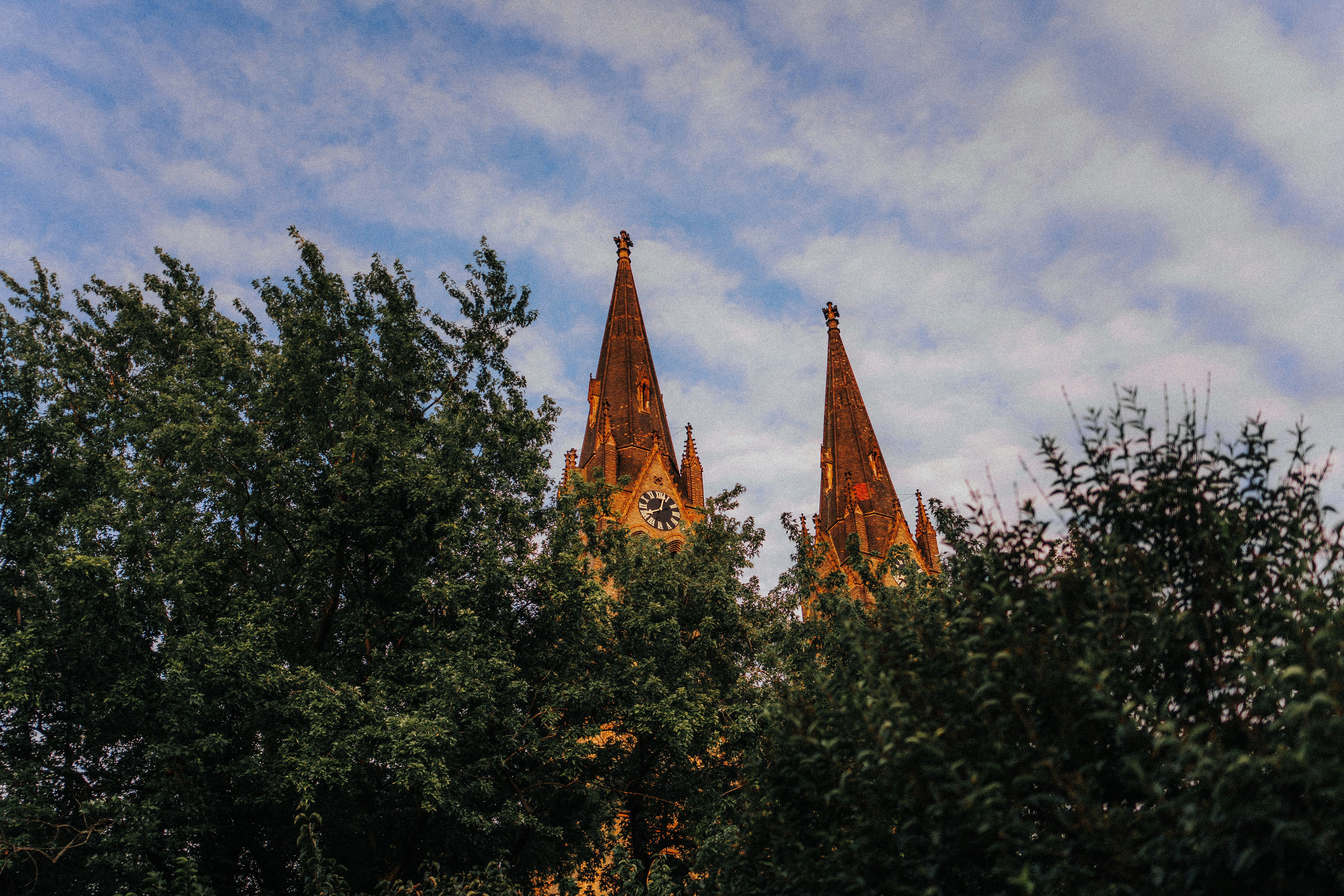 Amber-Spired Gothic Towers Rising Above a Leafy Horizon