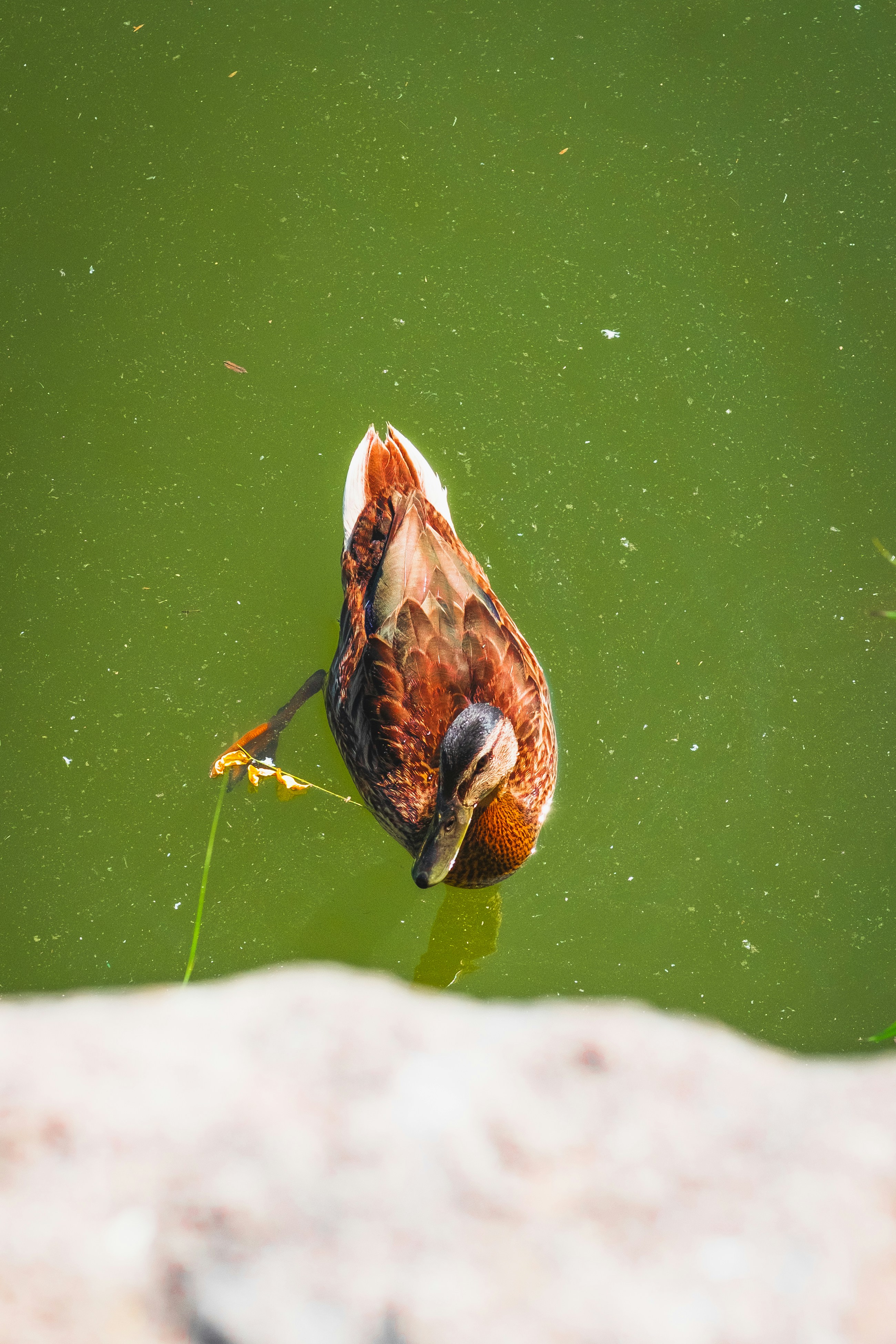 Photo by wyyz with Fujifilm X-T20