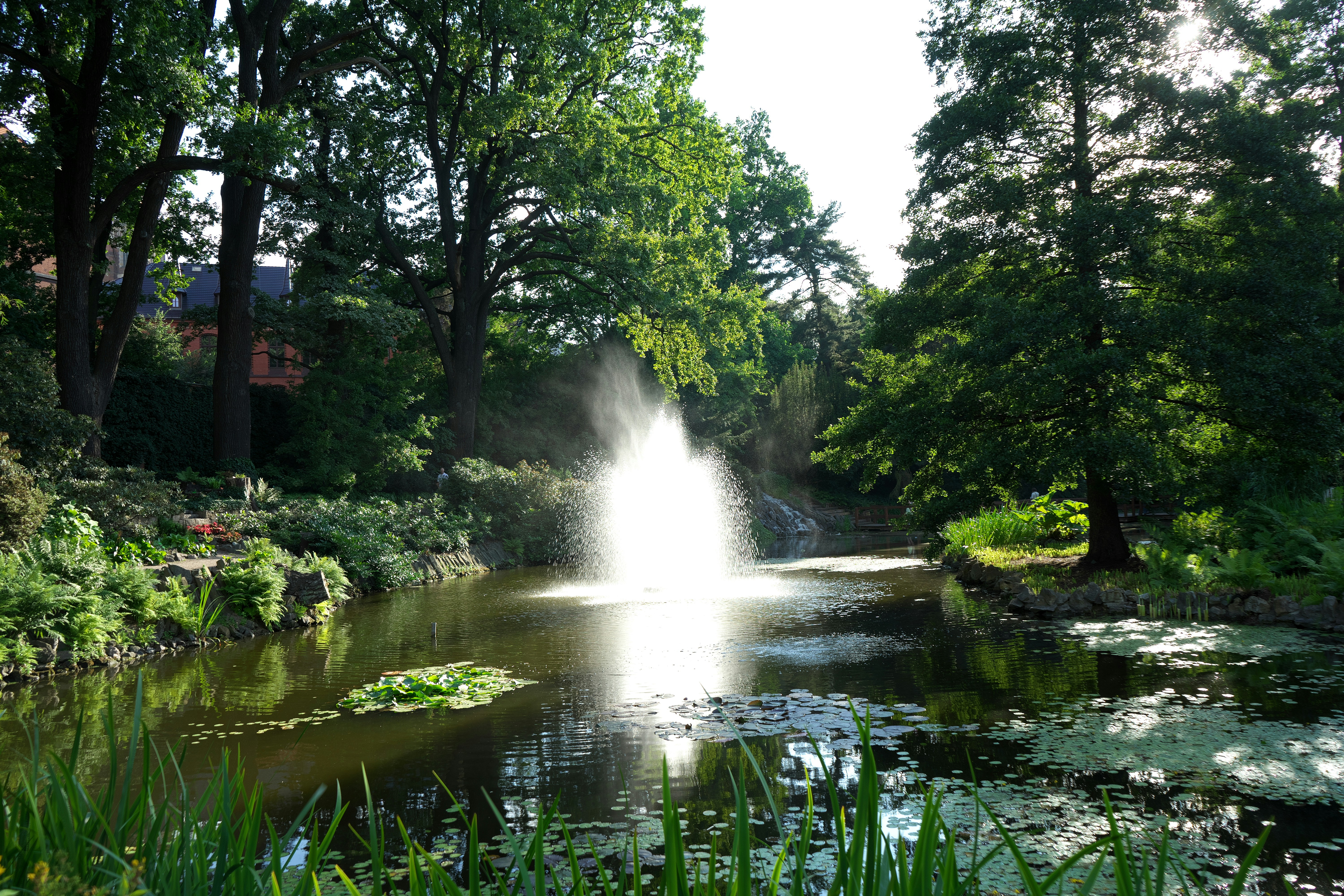 Midday Fountain Serenade: Green Canopy over a Quiet Park Pond