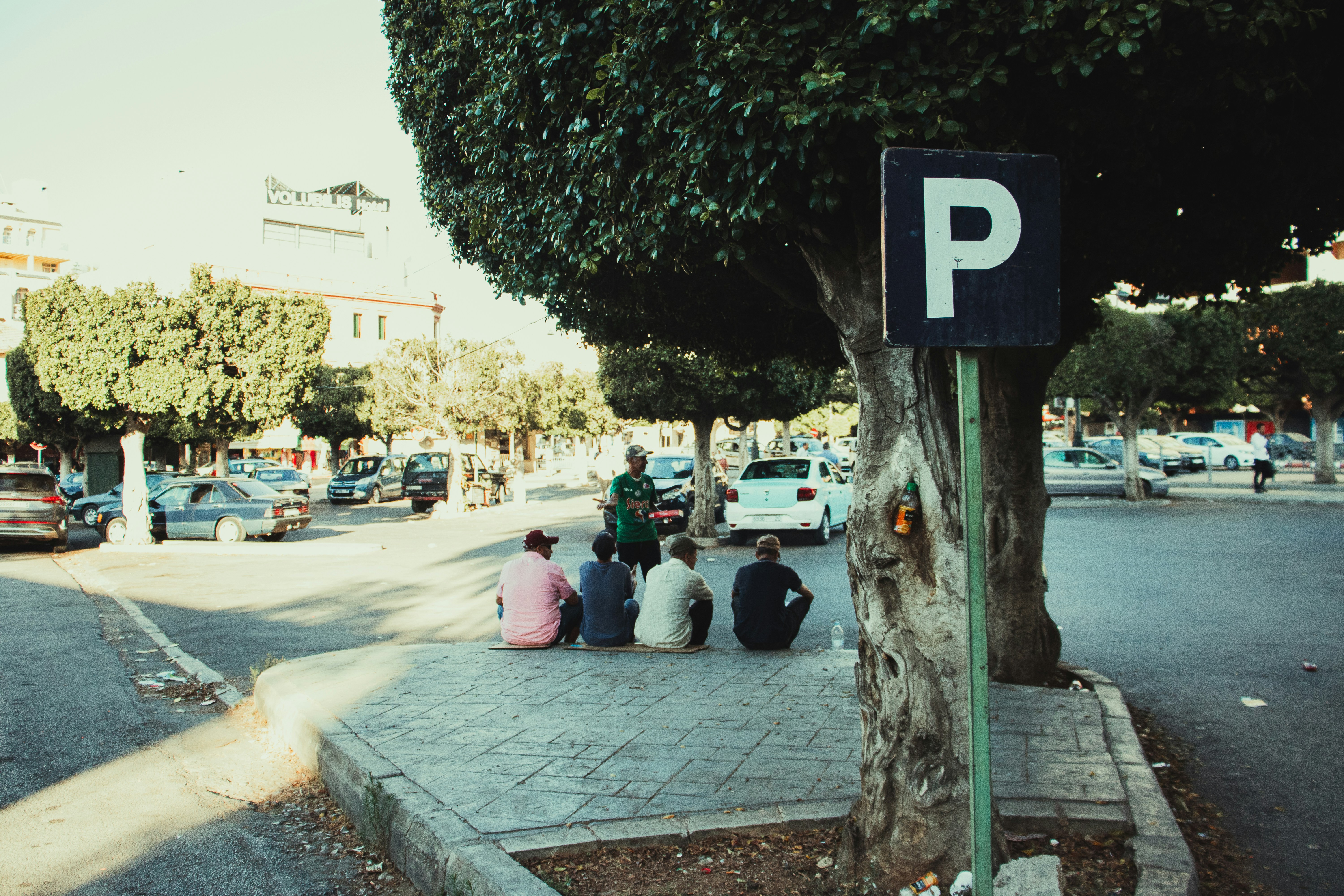 Beneath the Shade, a Quiet Circle by the Parking Lot