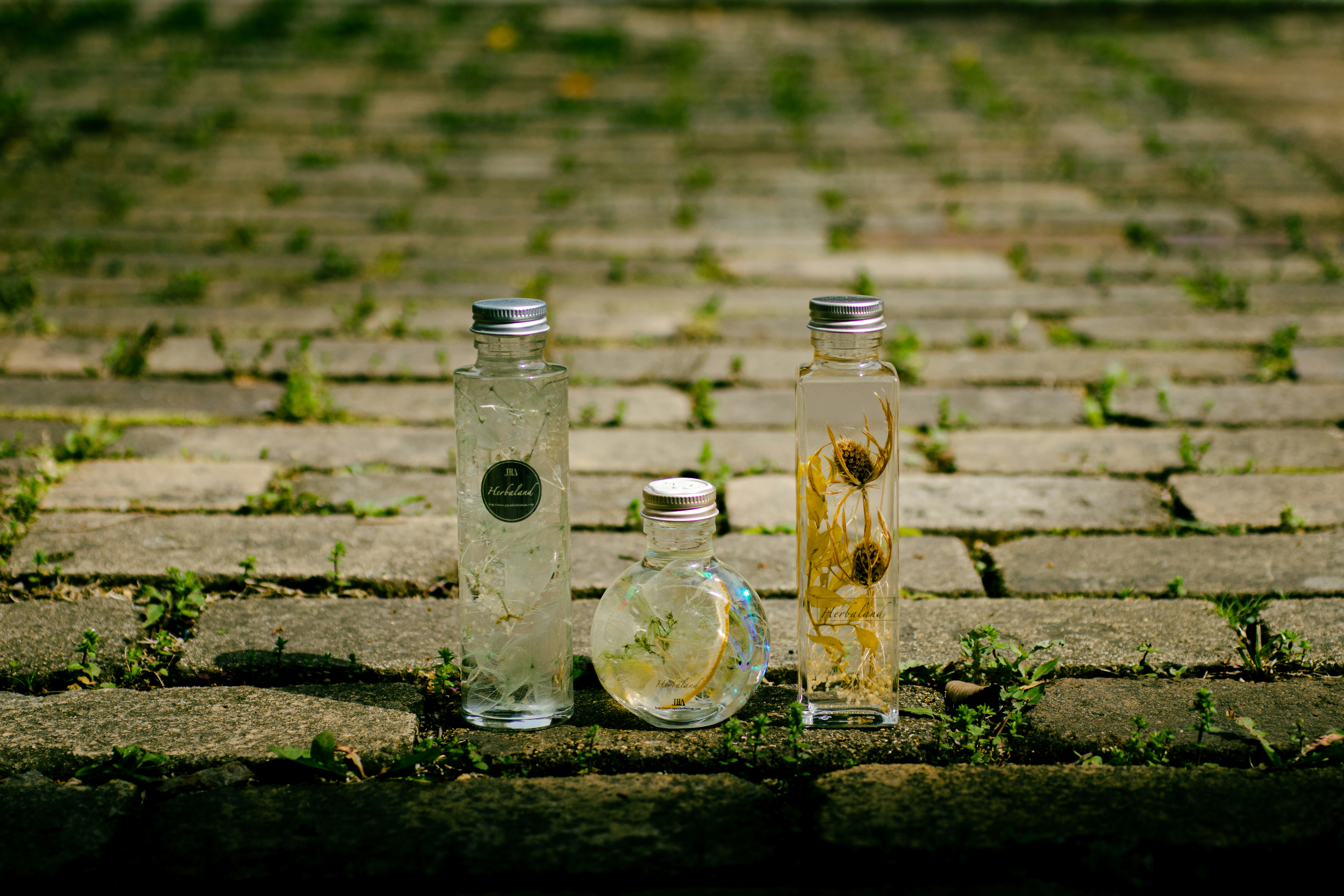Glass Bottles in Quiet Light: A Mossy Step Still-Life