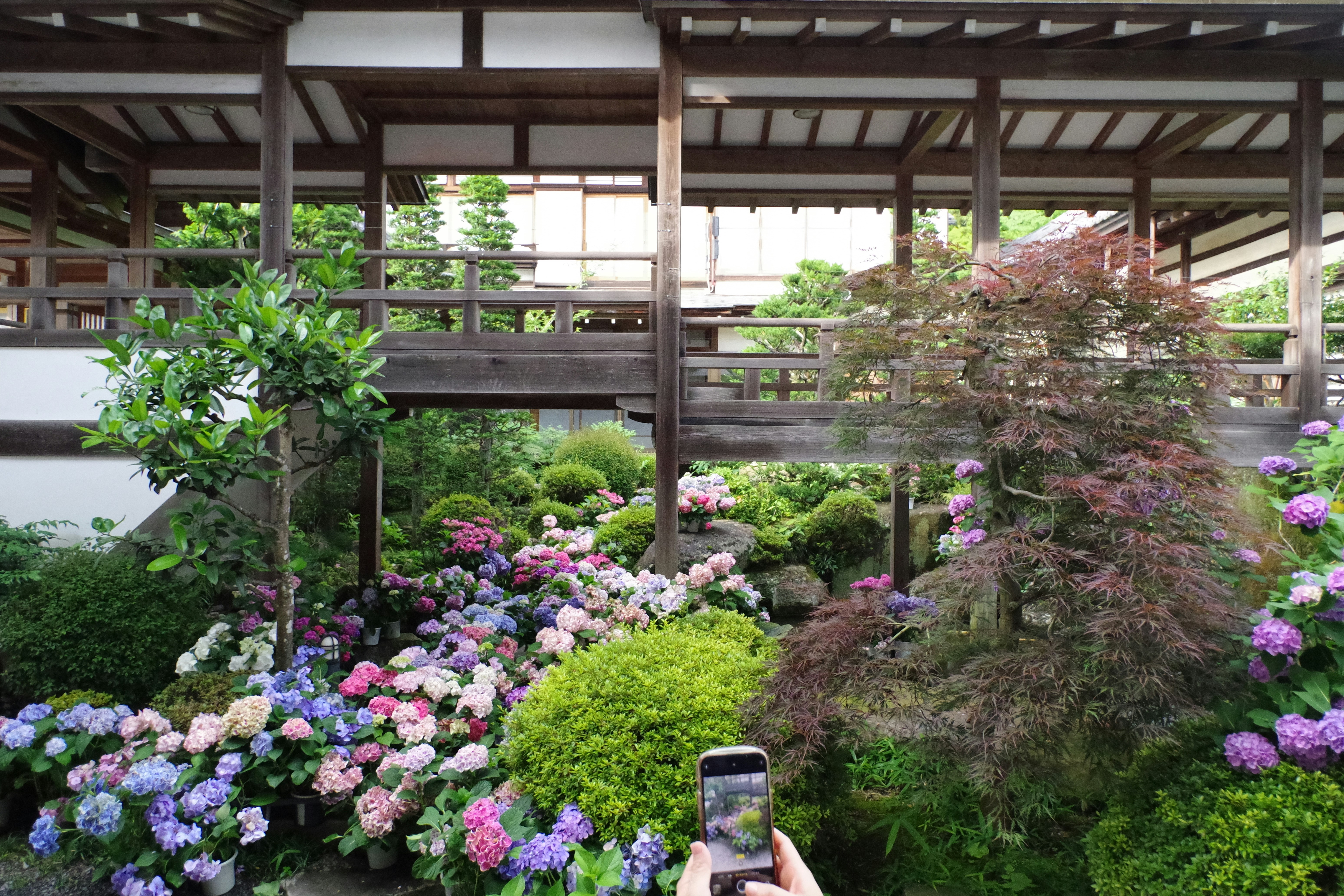 Photo by Naoki Suzuki