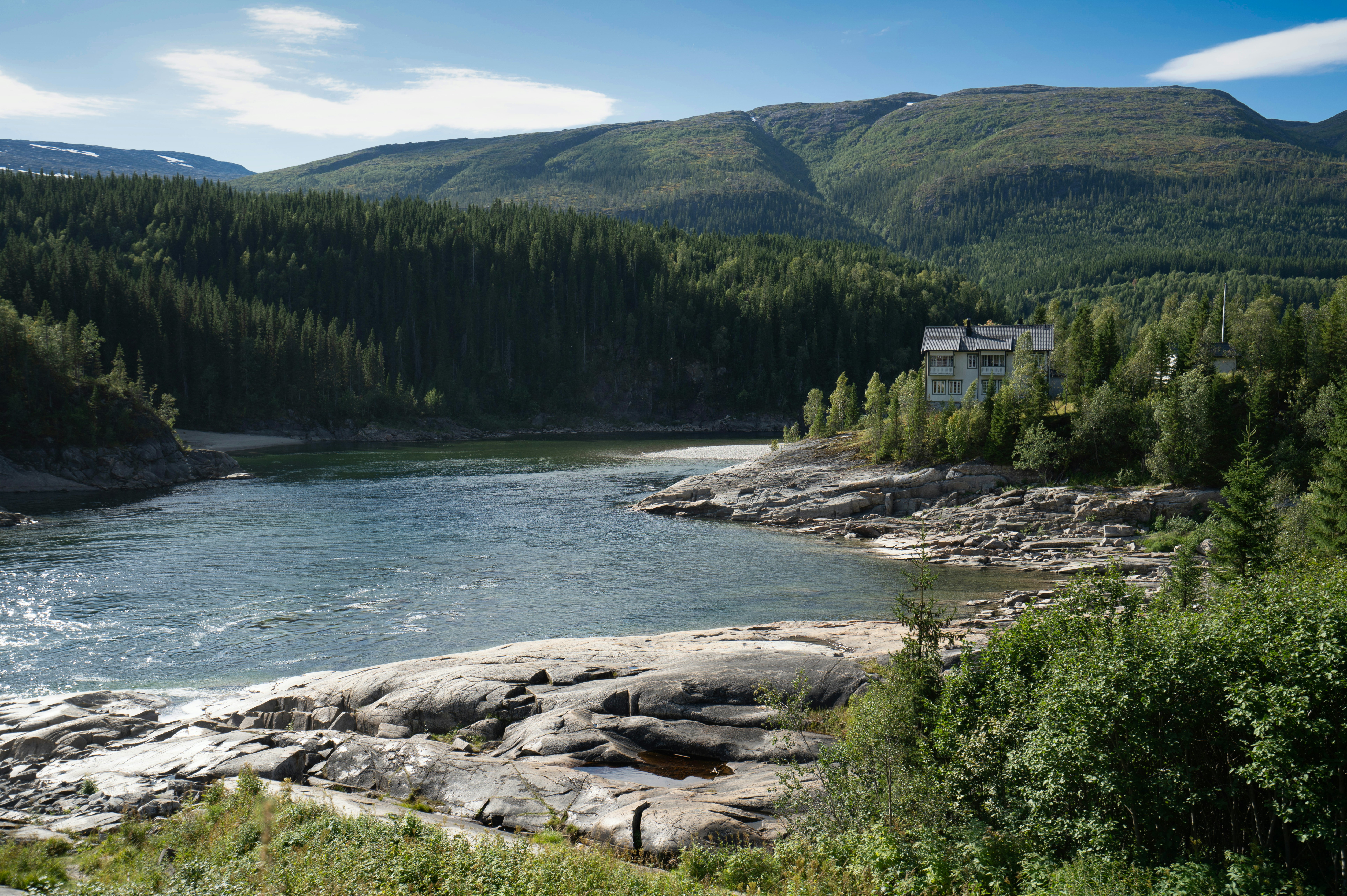 A serene riverside landscape where a majestic river flows through a rocky terrain, surrounded by dense forests.